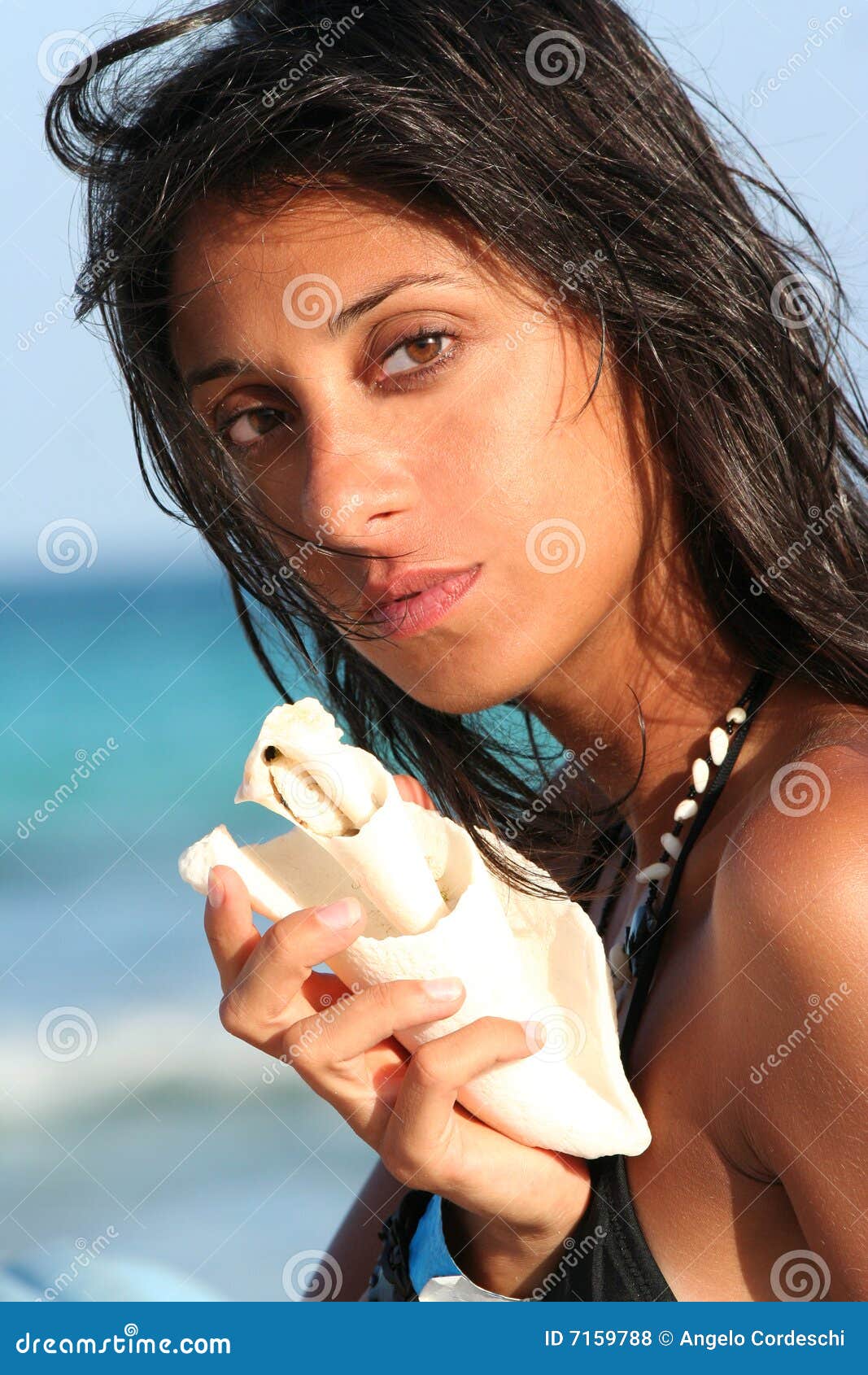 Model woman with shell stock photo. Image of beauty, attitude - 7159788