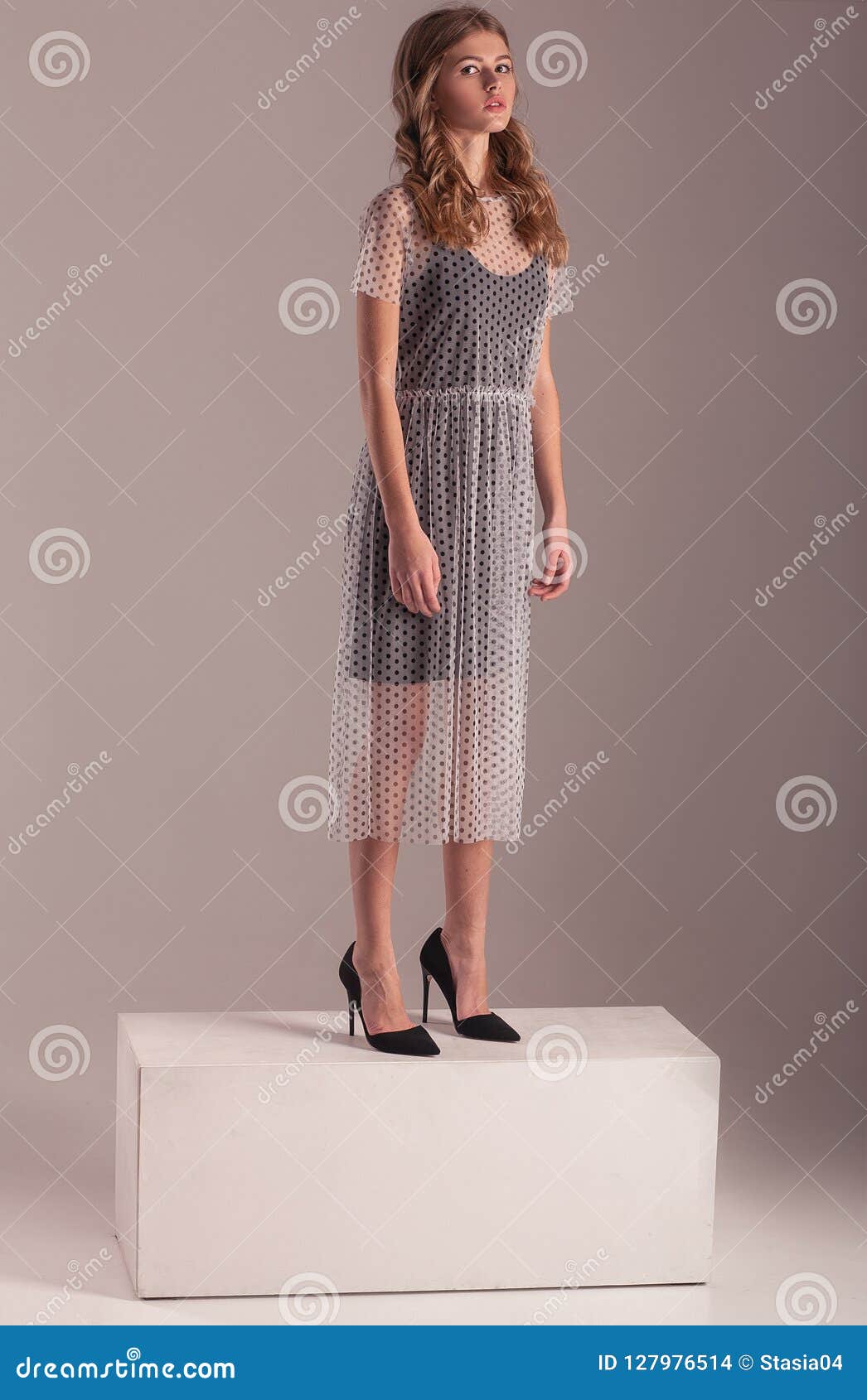 Modelli in Vestito Trasparente E Tacchi a Spillo Che Posano Sul BAC ...