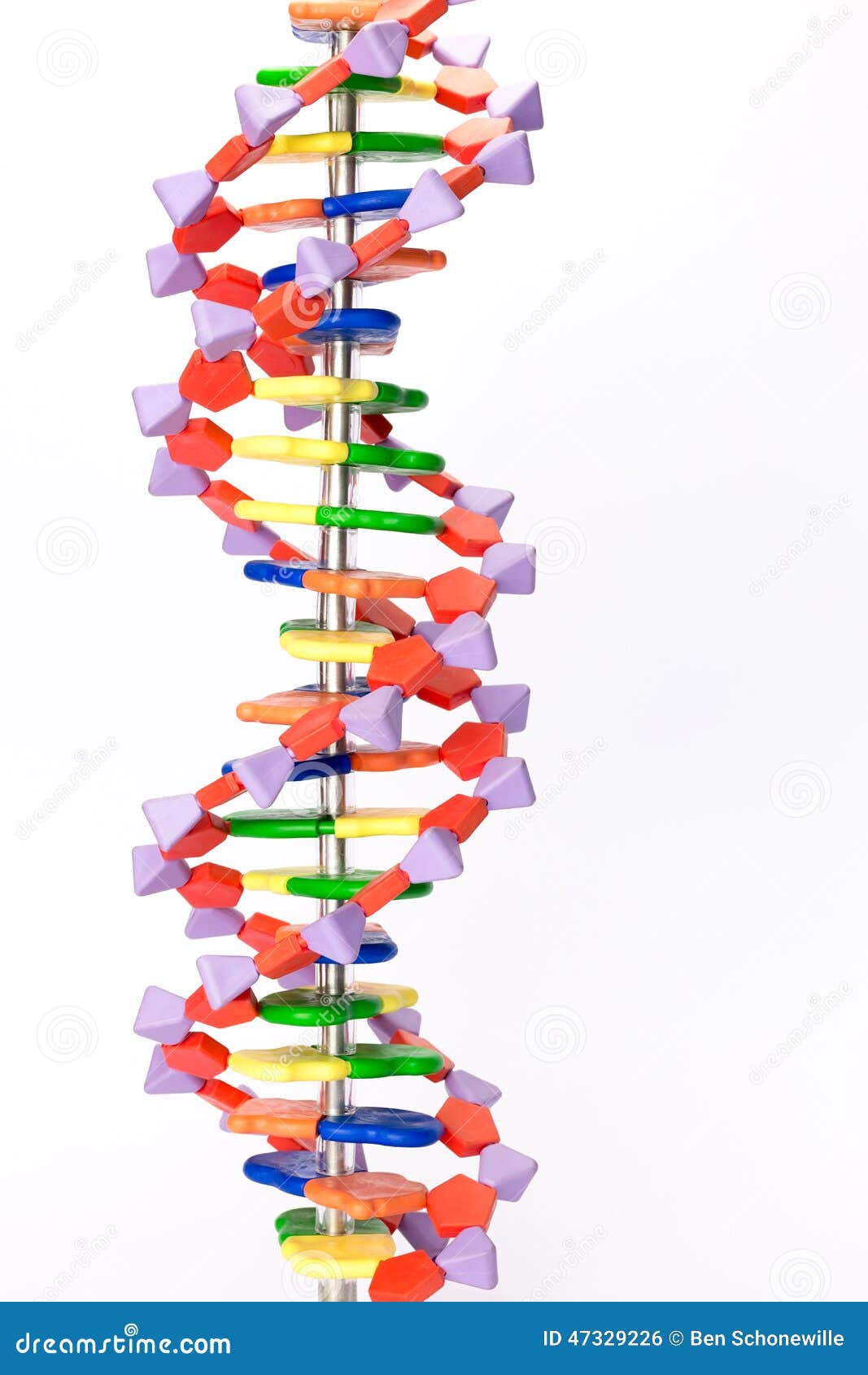 Modello Artificiale Del DNA Fotografia Stock - Immagine di atomi, geni ...
