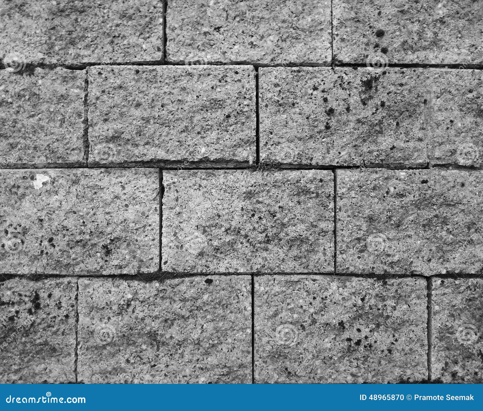 Modello Del Blocco in Calcestruzzo Fotografia Stock - Immagine di ...