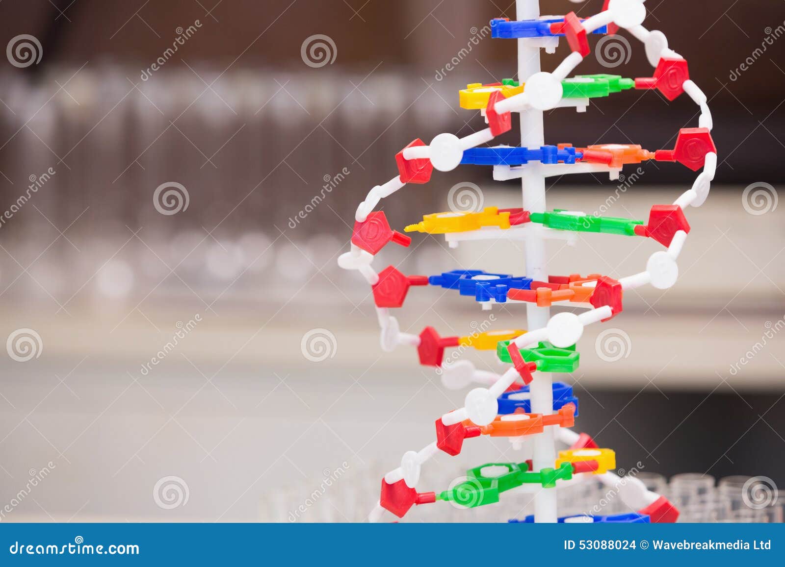 Modello dell'elica del DNA fotografia stock. Immagine di ...