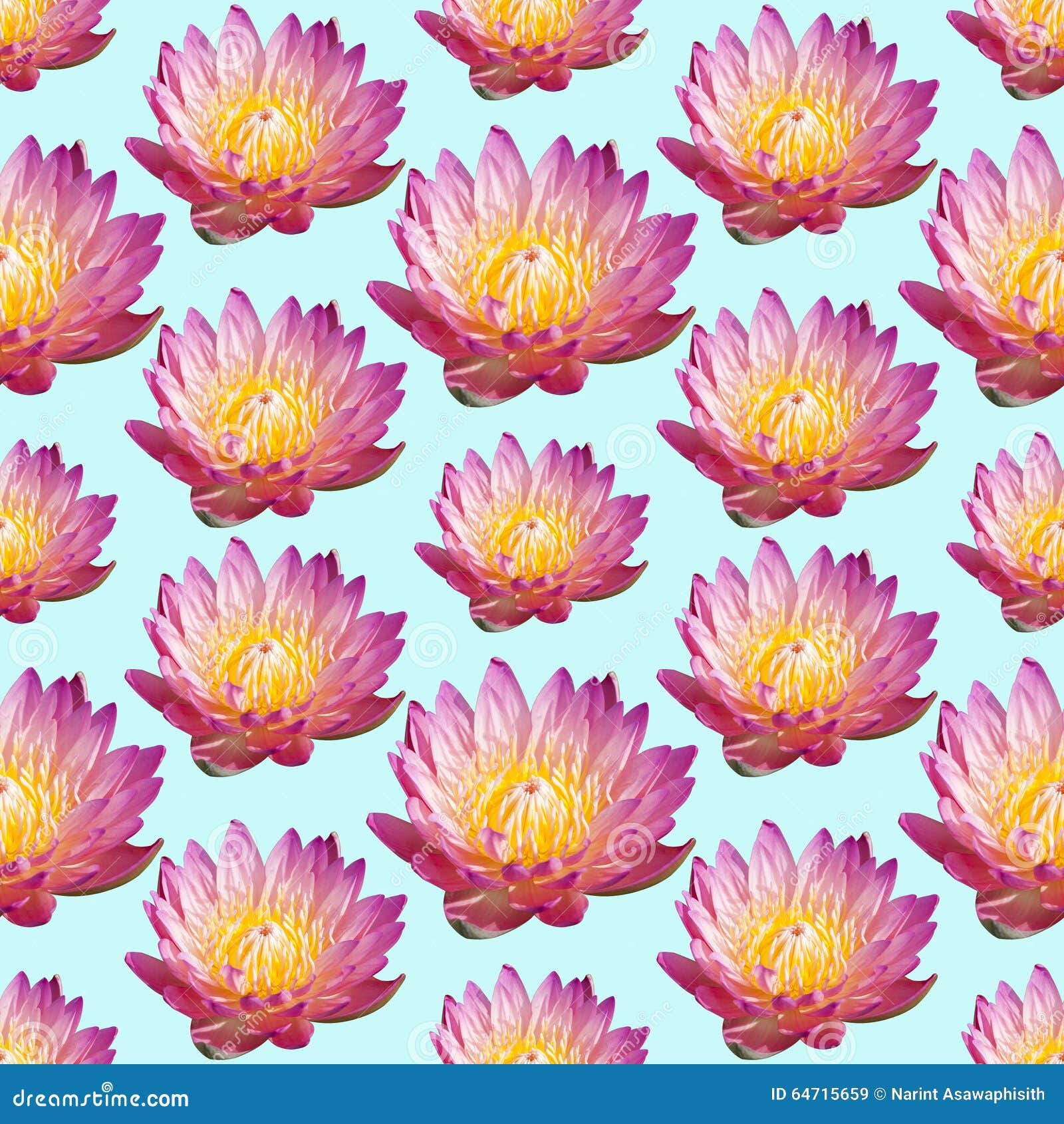 Modello della ninfea immagine stock. Immagine di loto - 64715659