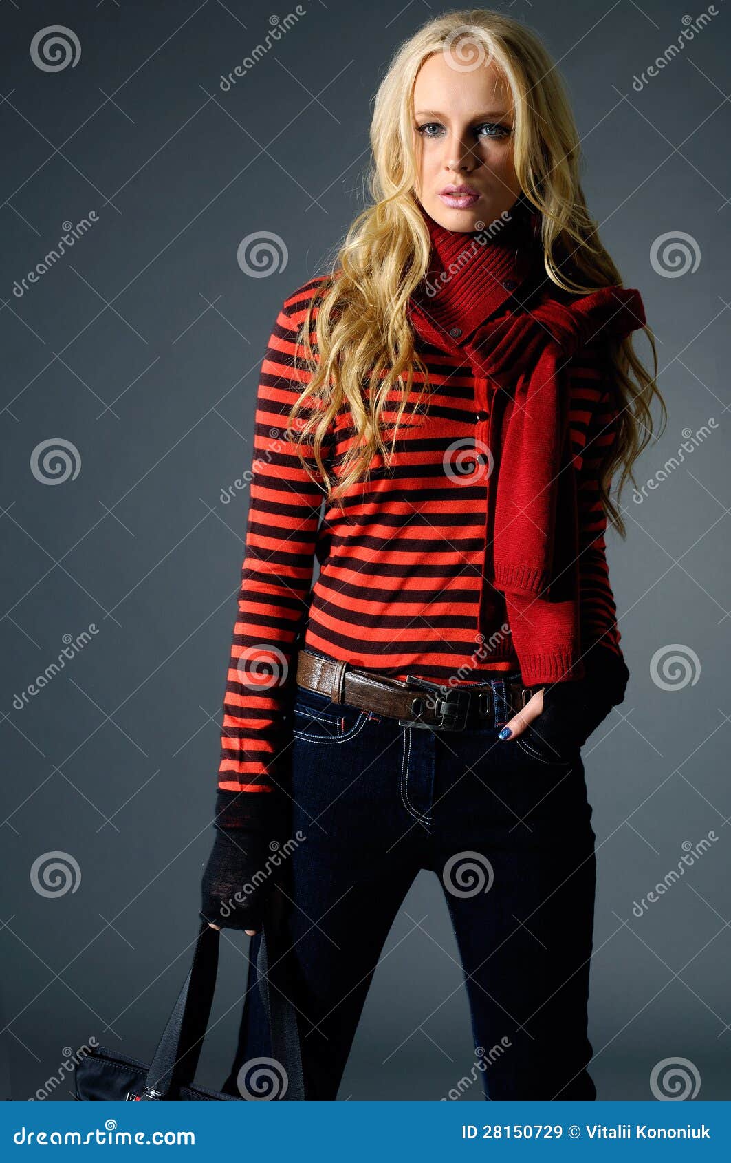 Modello di moda immagine stock. Immagine di stile, isolato - 28150729