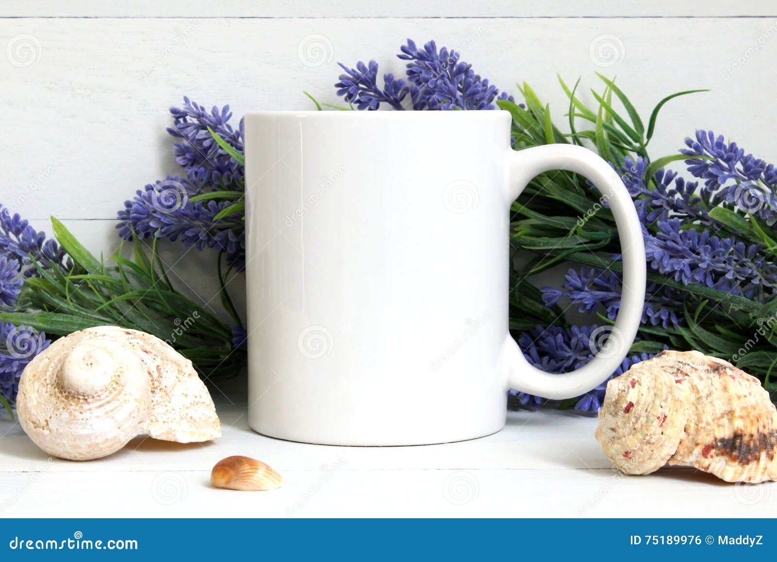 Modello Di Una Tazza Bianca Fotografia Stock - Immagine di estate, nave ...