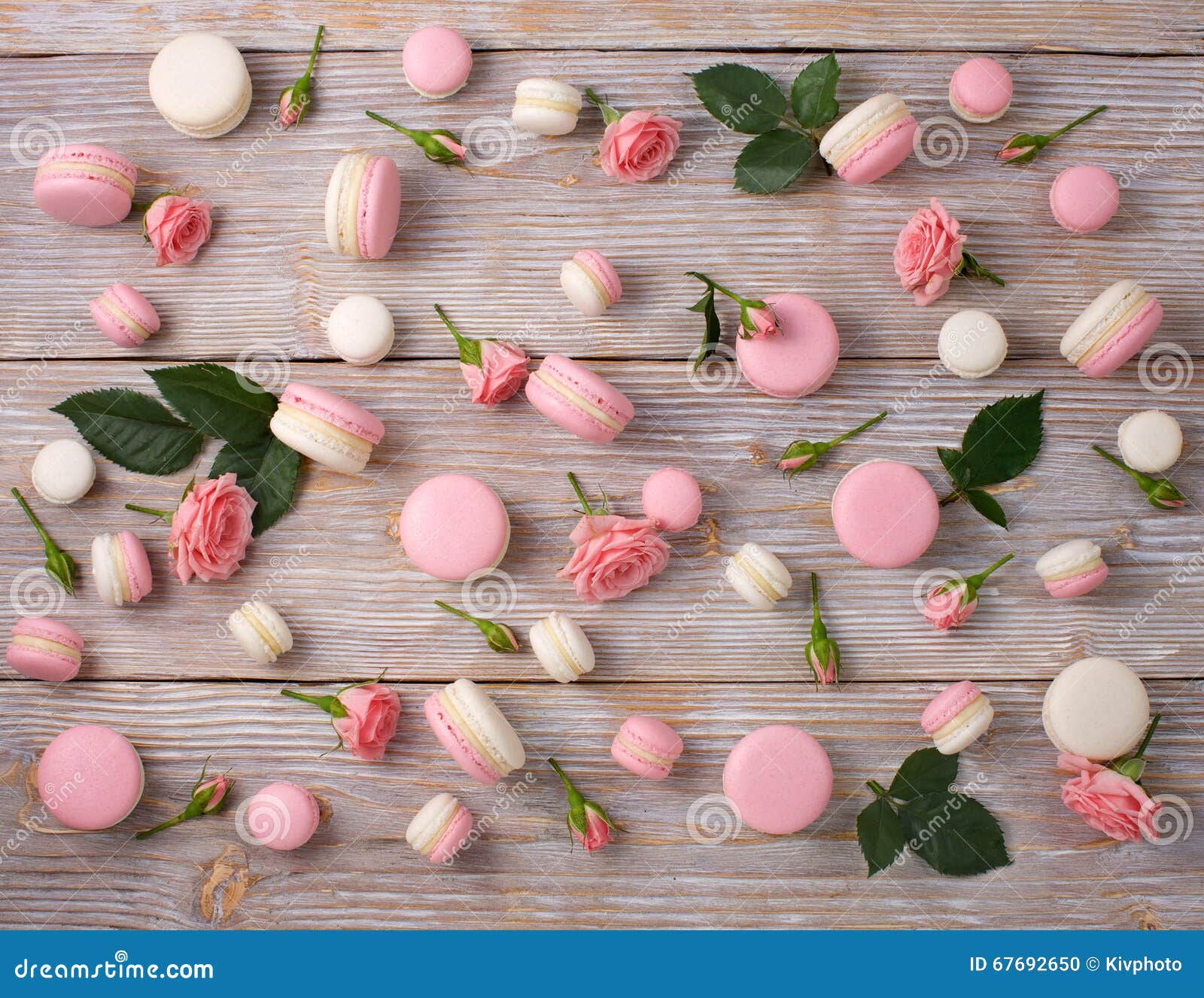 Modello Francese Dei Macarons Del Dessert Con Il Fiore Rosa Fotografia ...