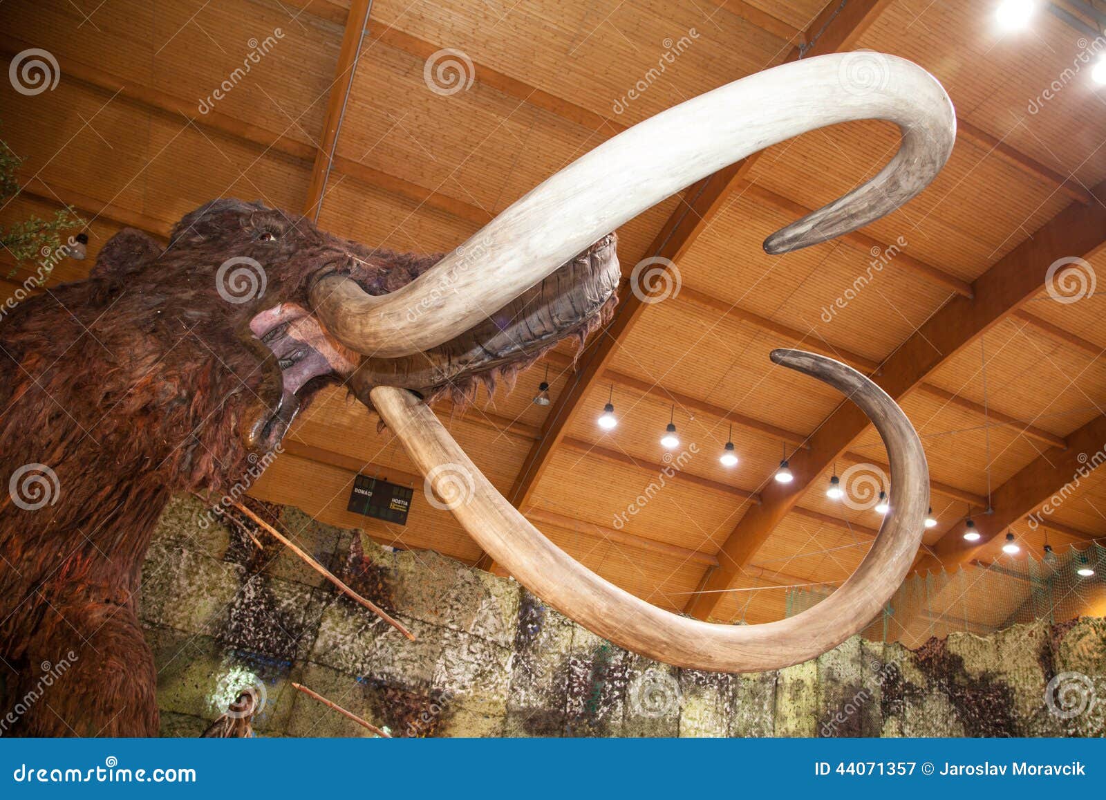 Modello Realistico Dell'animale Preistorico Fotografia Editoriale ...