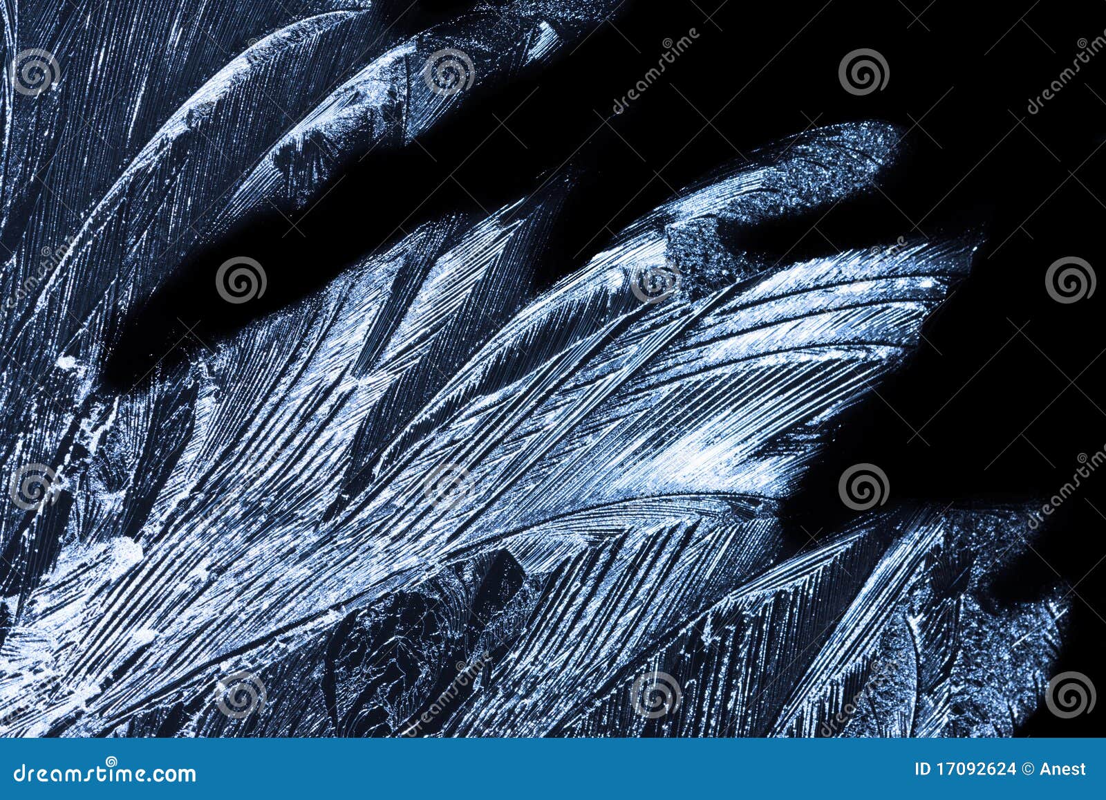 Modelo azul de la escarcha foto de archivo. Imagen de nadie - 17092624