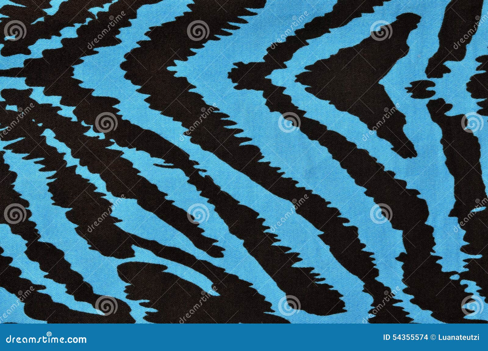 Modelo Azul Y Negro De La Cebra Foto de archivo - Imagen de textura ...