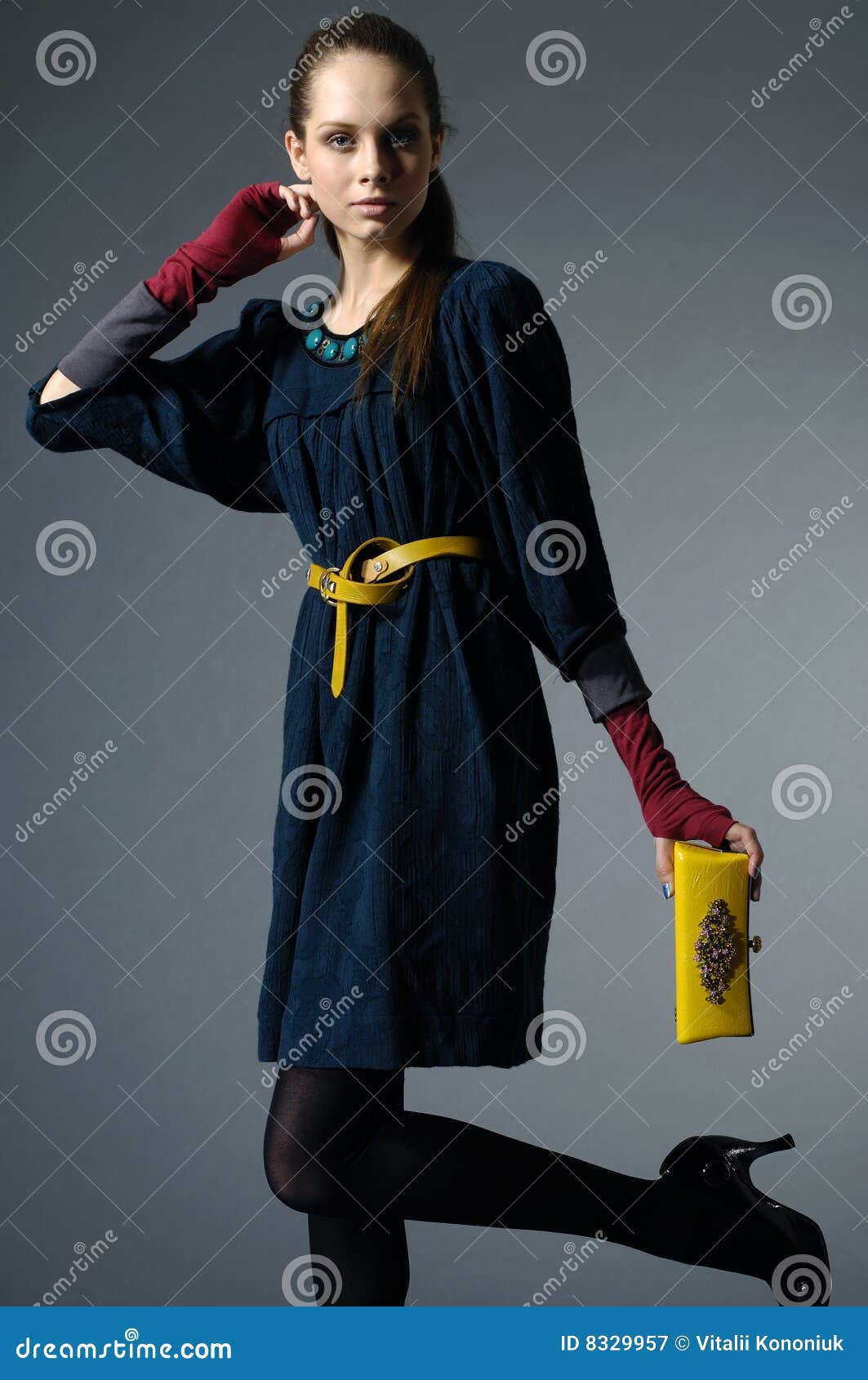 Modelo con un bolso imagen de archivo. Imagen de modelo - 8329957