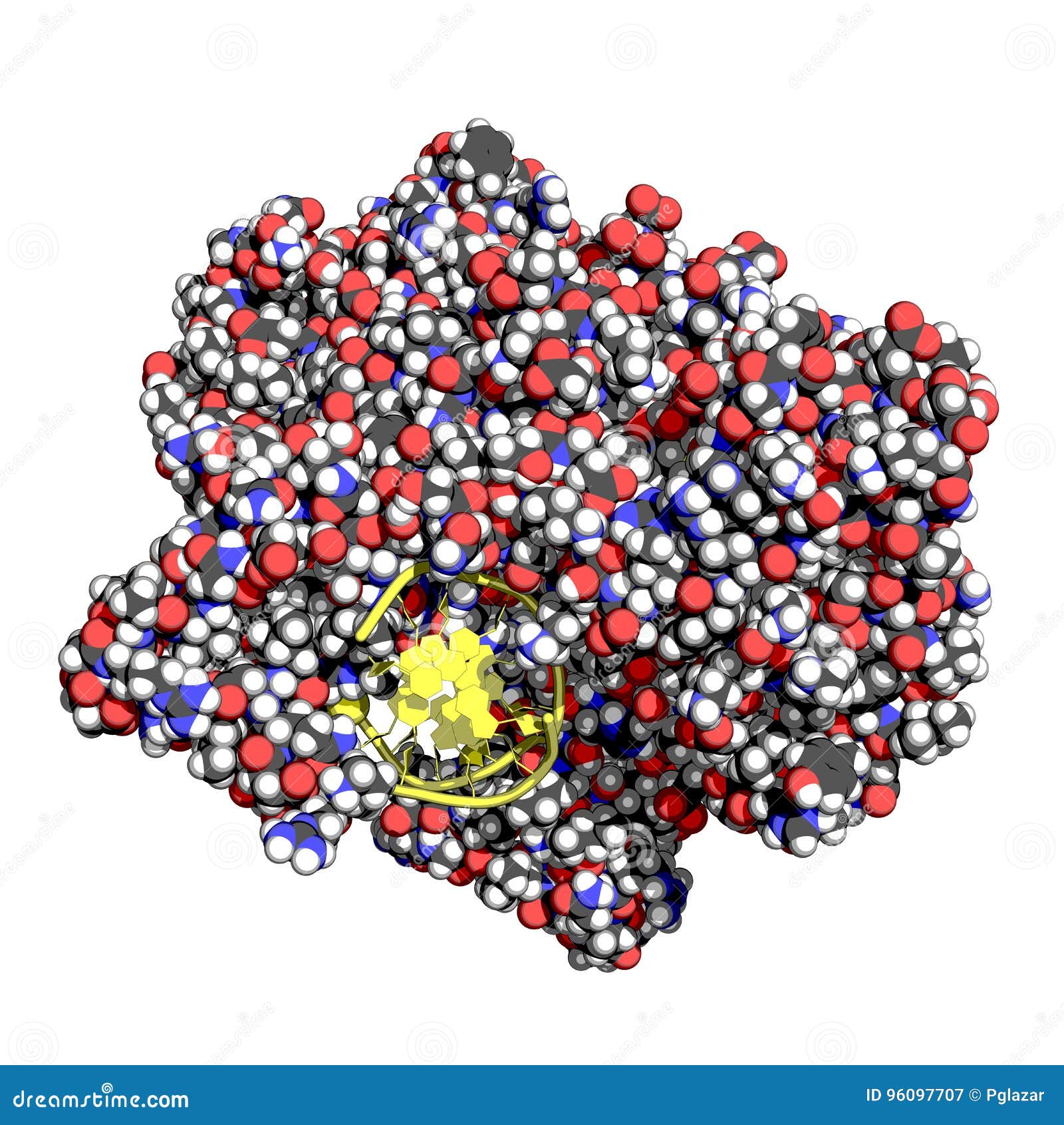 Modelo de EcoRI ilustração stock. Ilustração de fragmento - 96097707