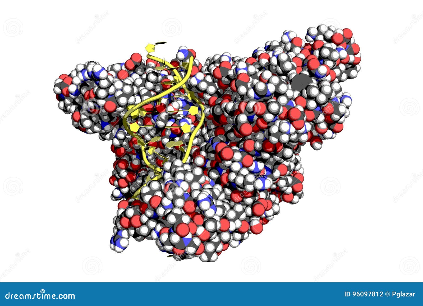 Modelo de EcoRI ilustração stock. Ilustração de estrutura - 96097812