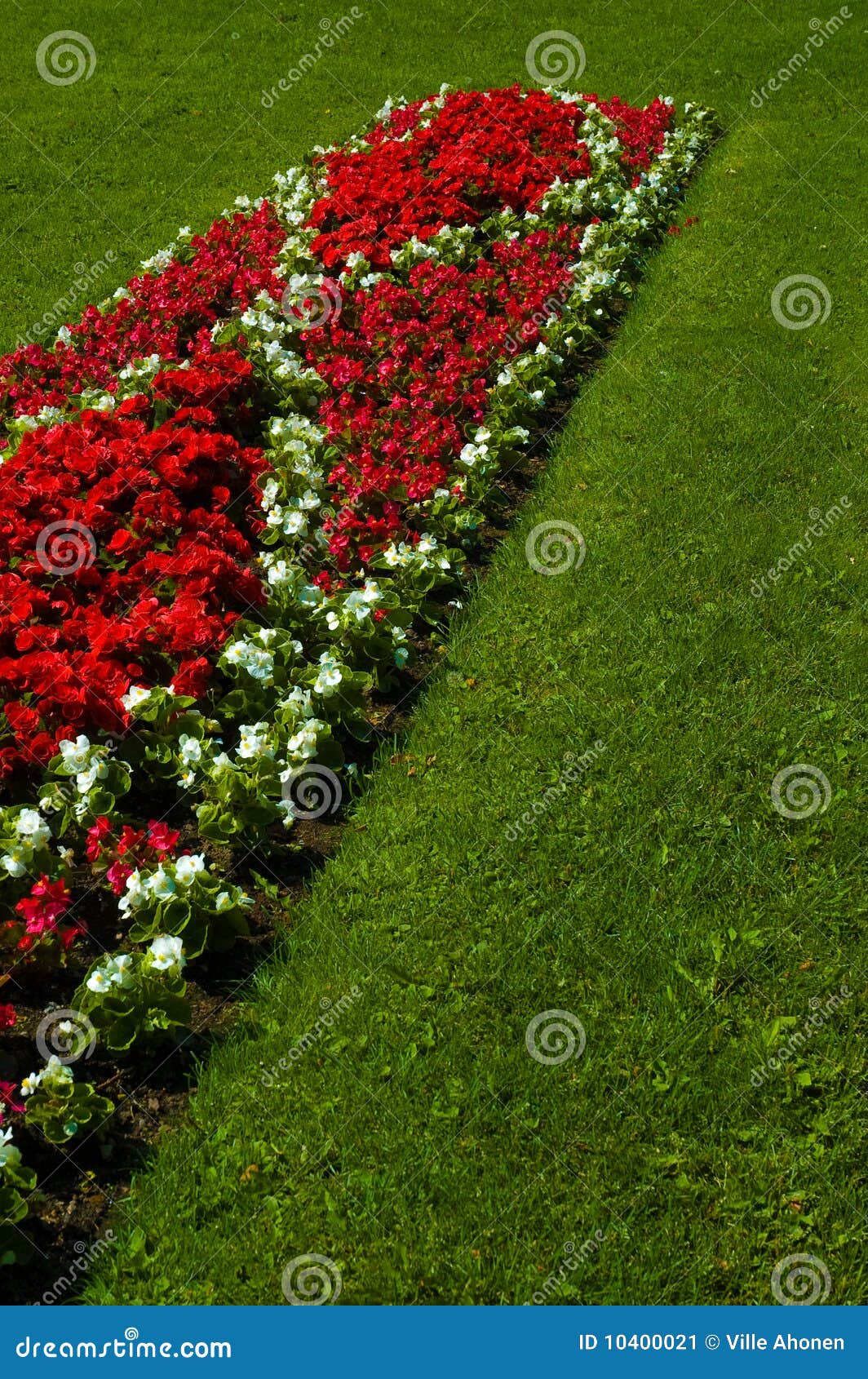 Modelo de flor imagen de archivo. Imagen de modelo, flor - 10400021