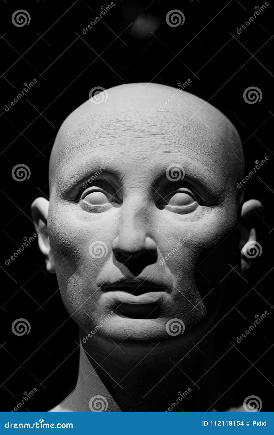 Modelo de la cabeza humana foto de archivo. Imagen de retrato - 112118154