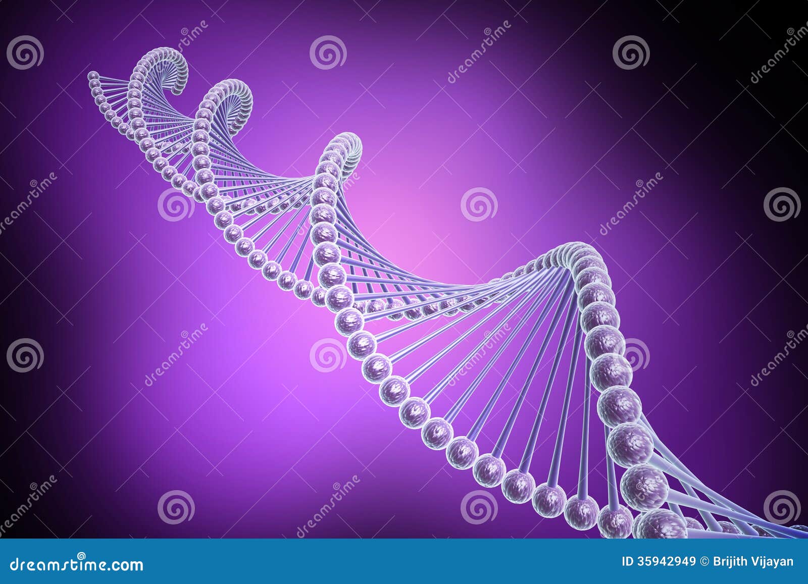 Modelo De La Cadena Torcida De La DNA Stock de ilustración ...