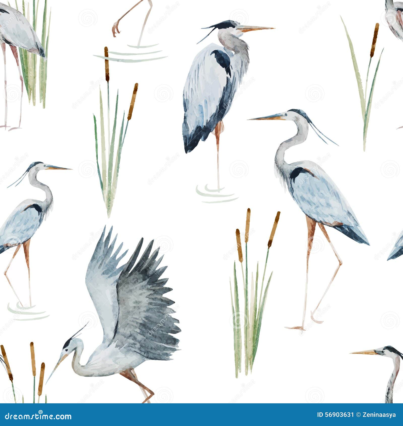 Modelo De La Garza De La Acuarela Ilustración del Vector - Ilustración ...