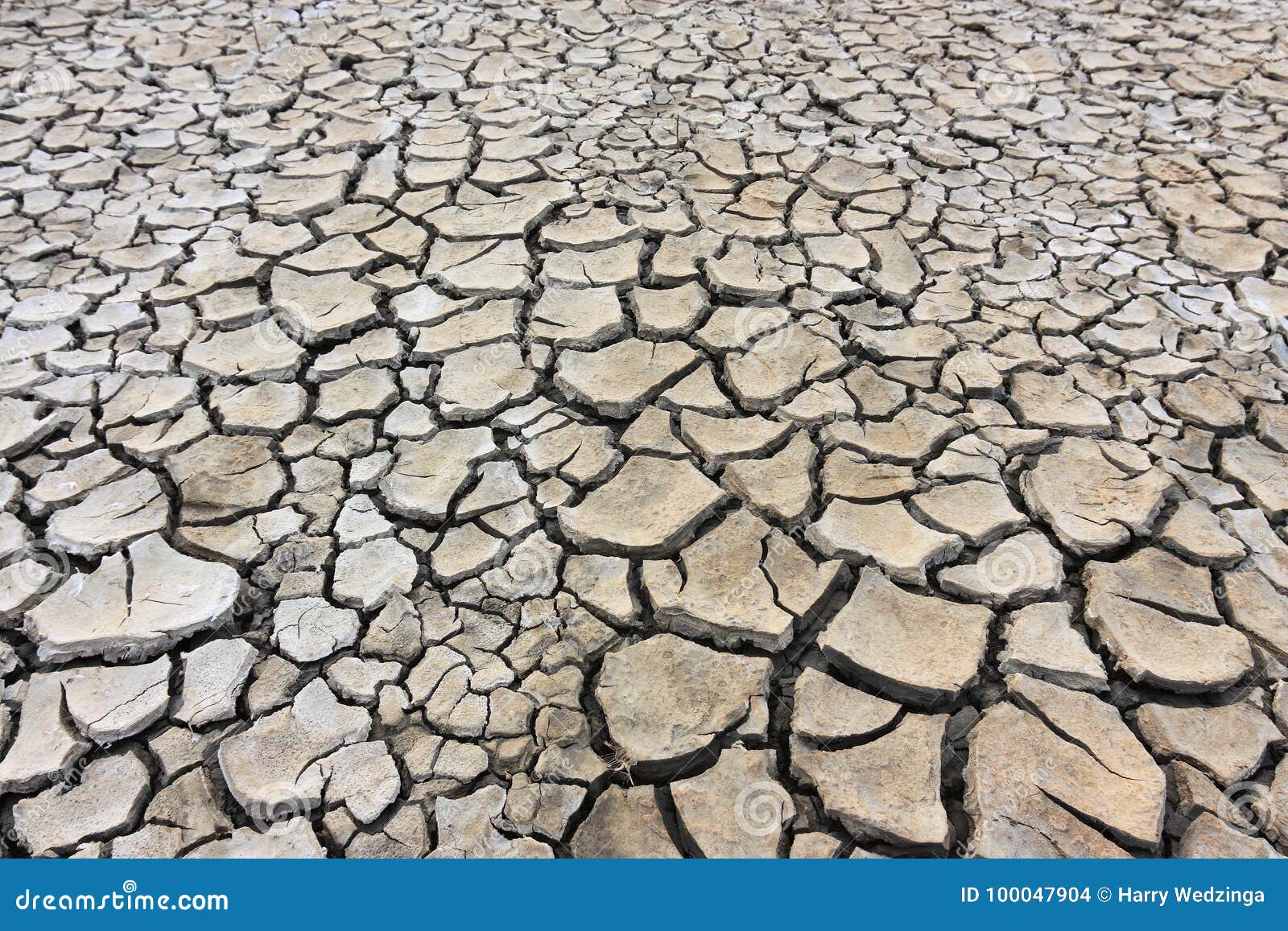 Modelo De La Tierra Agrietada Foto de archivo - Imagen de superficie ...