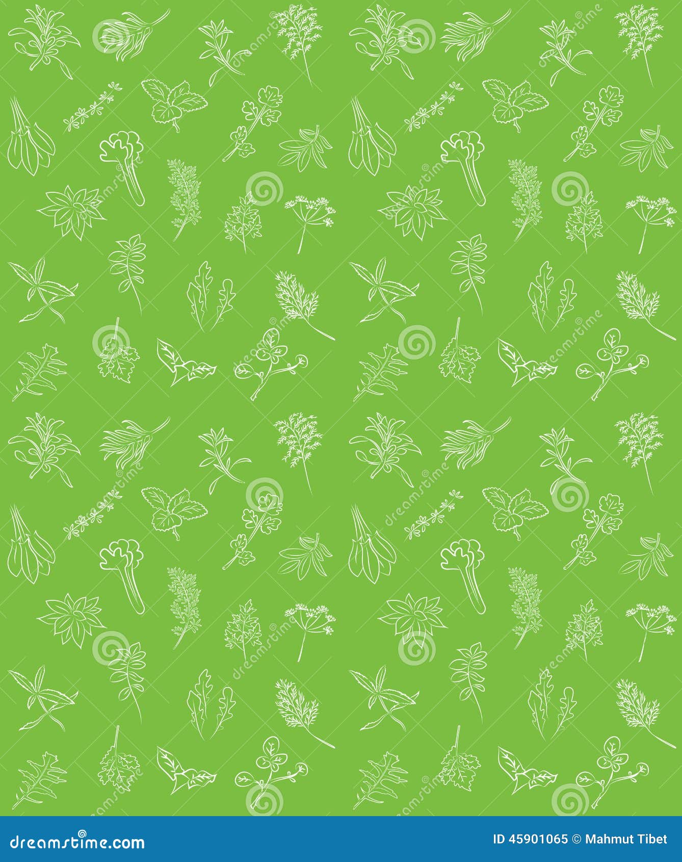 Verde Musgo Color Pictures And Images - RGB Color Hex Code [#80C040 - 84%]