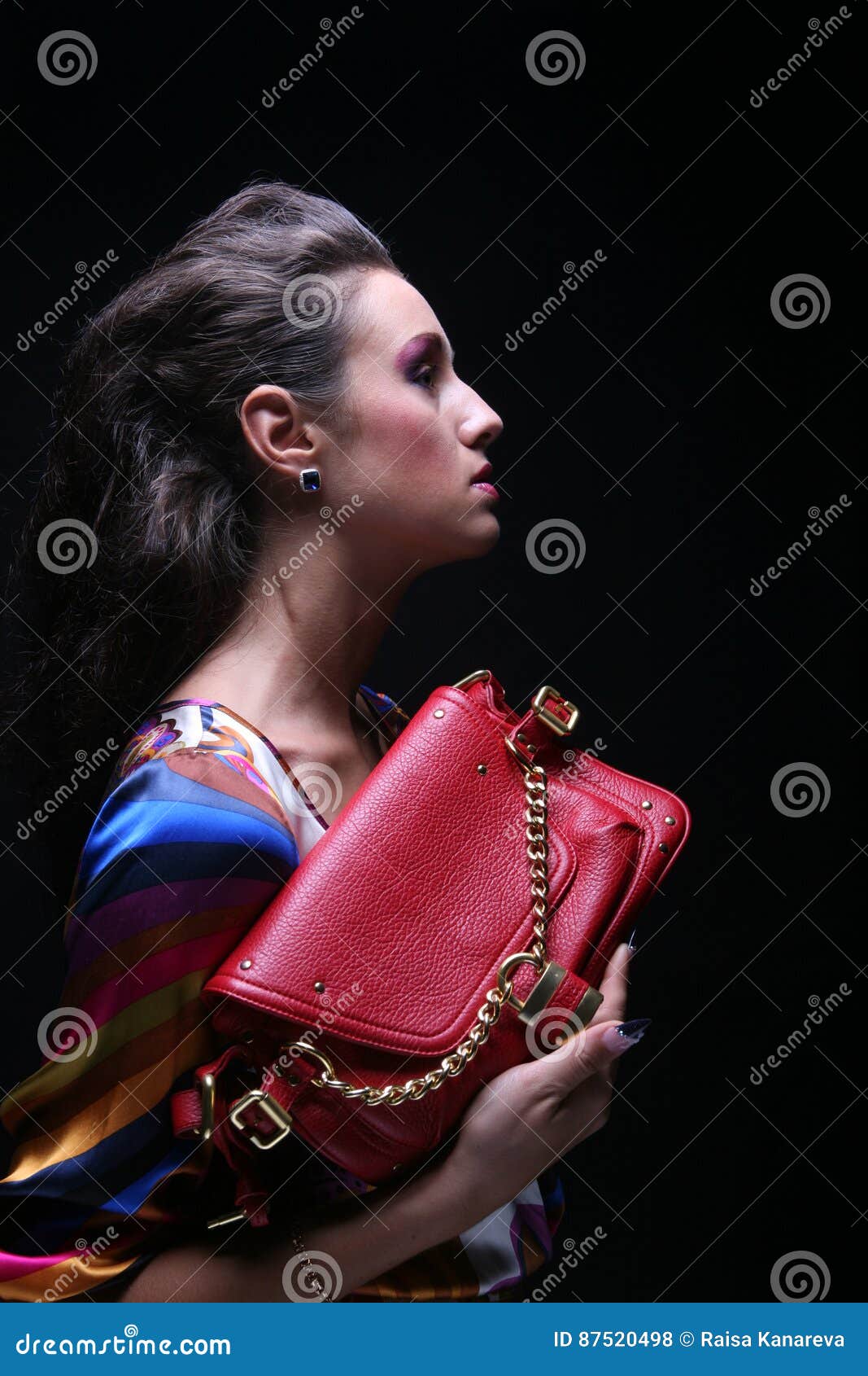 Modelo De Moda Con Un Bolso Foto de archivo - Imagen de modelo, capa ...