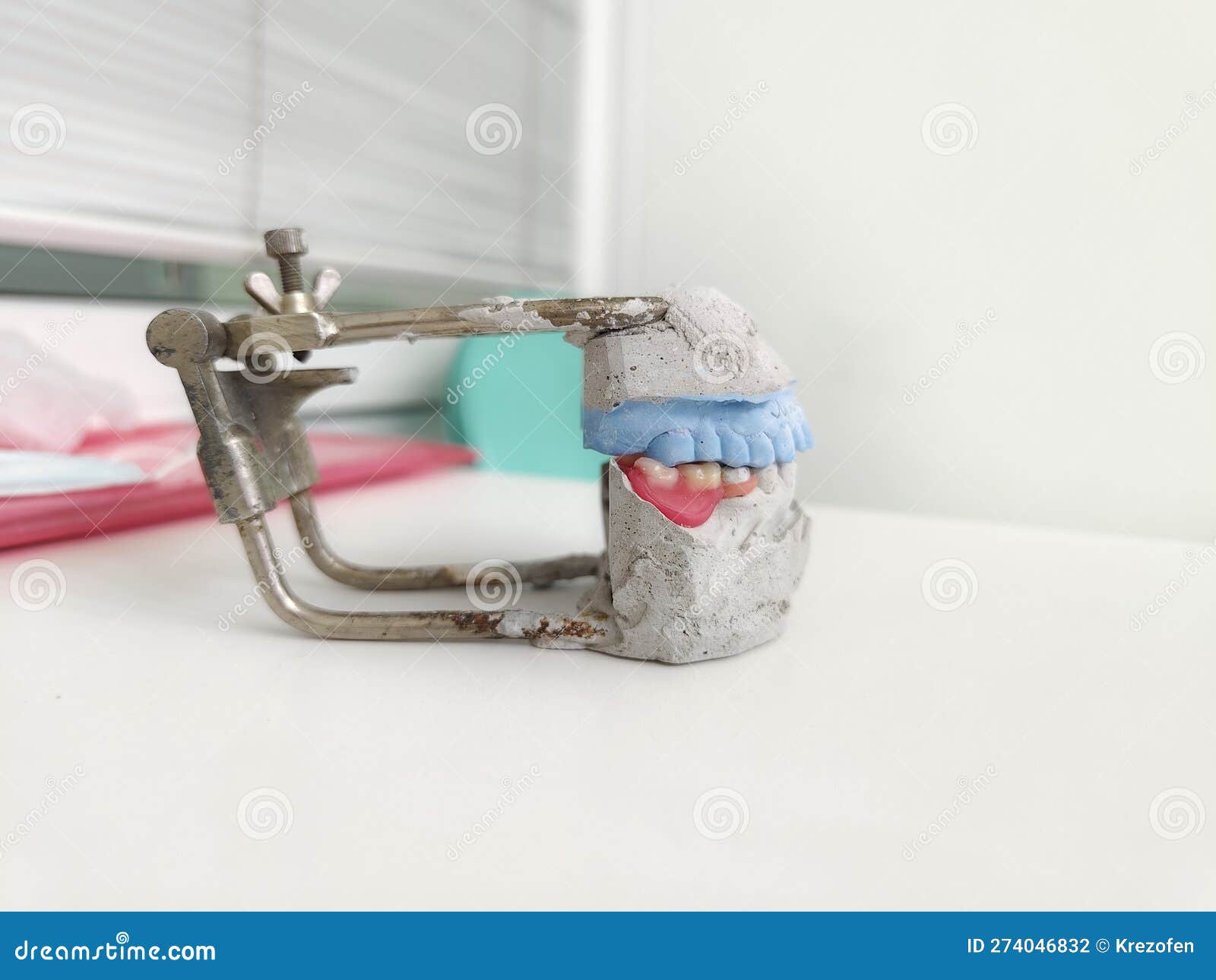 Modelo De Yeso Con Dientes Artificiales Para Hacer Una Dentadura Foto ...