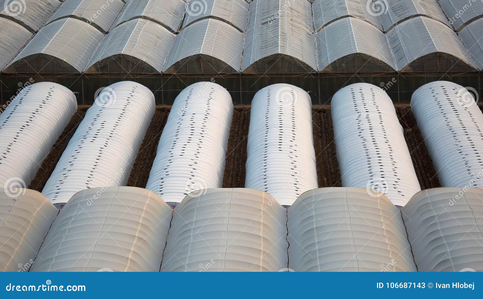 Modelo Del Campo Del Invernadero Imagen de archivo - Imagen de alimento ...