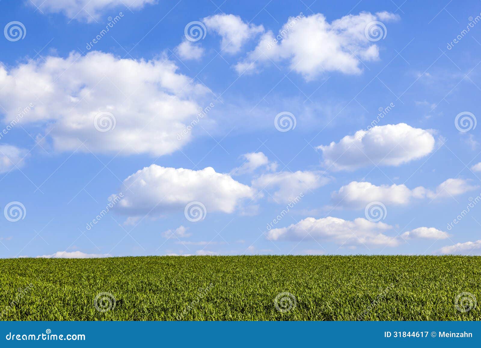 Modelo Del Campo Verde Con El Azul Imagen de archivo - Imagen de ...
