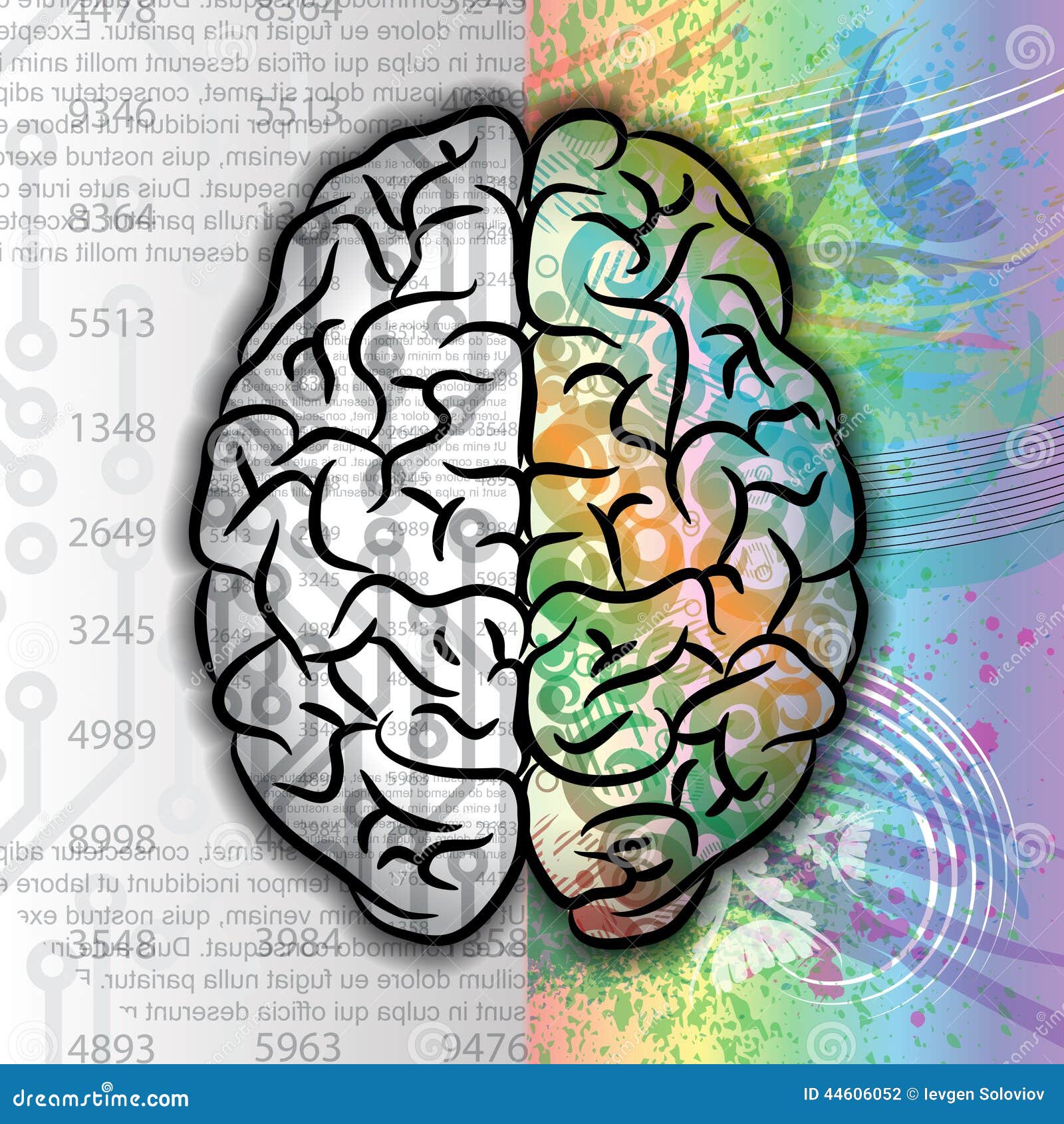 Modelo Del Color Del Cerebro Humano Ilustración del Vector ...