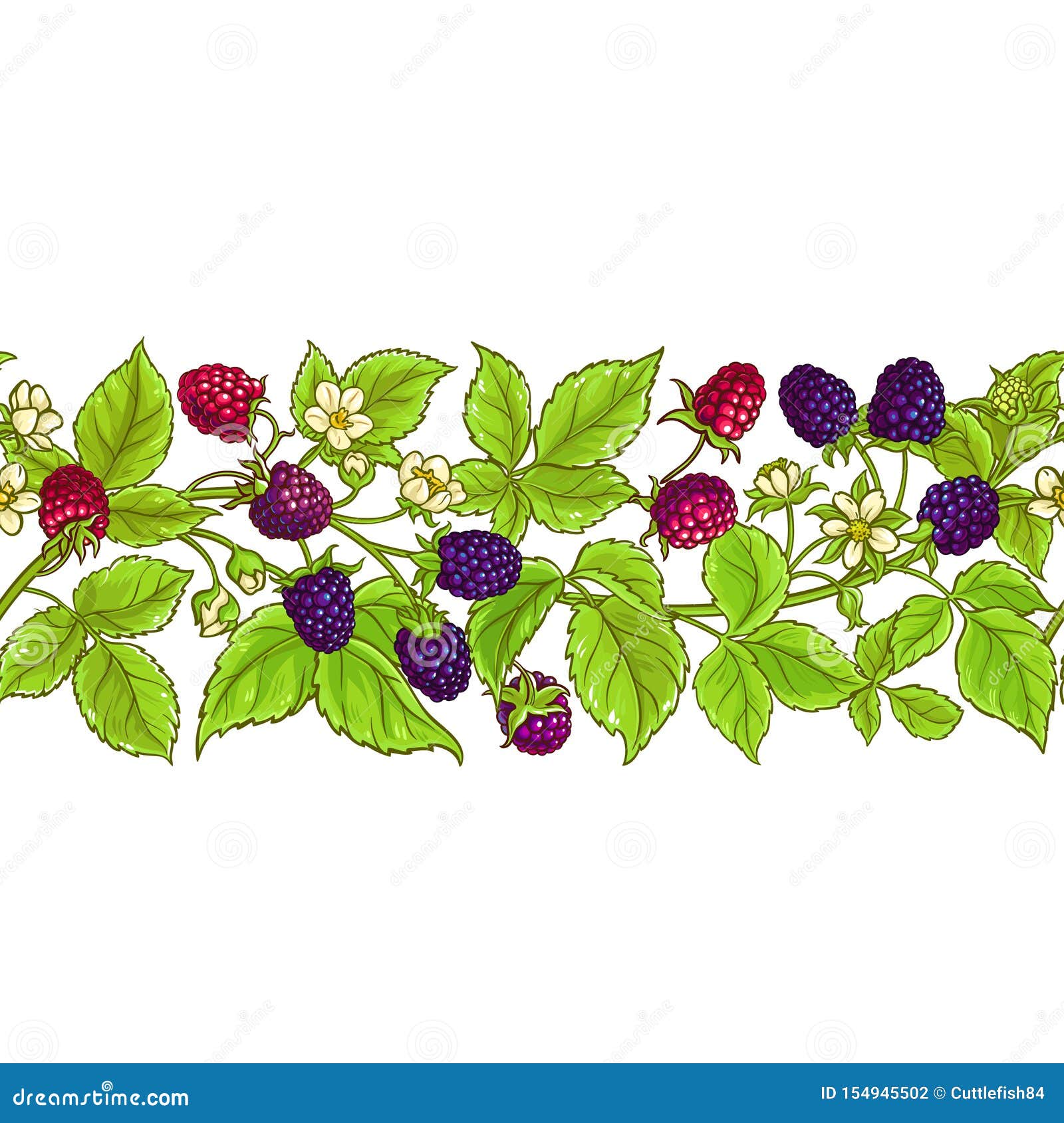 Modelo Del Vector De La Mora Ilustración del Vector - Ilustración de ...