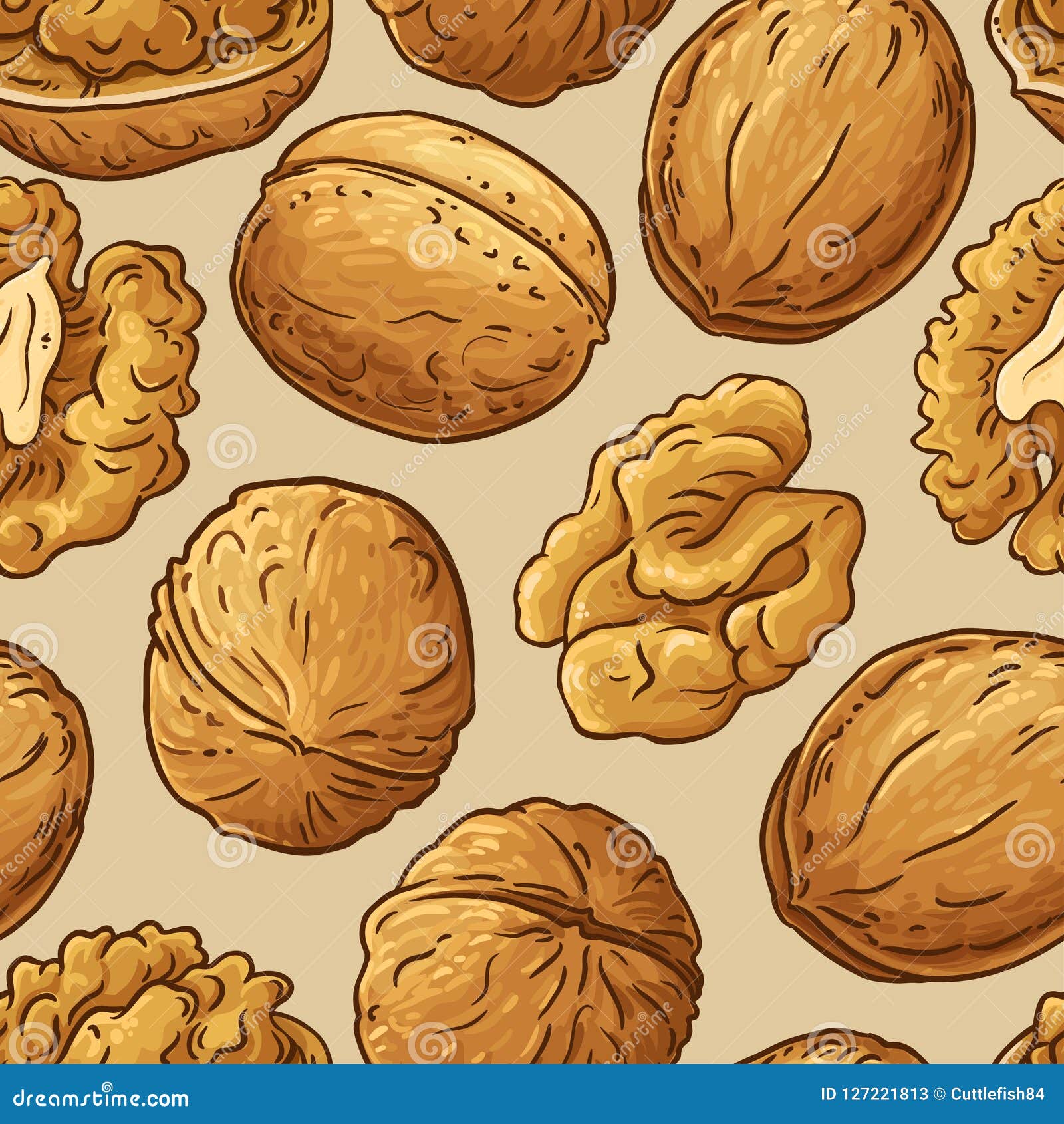 Modelo Del Vector De La Nuez Ilustración del Vector - Ilustración de ...