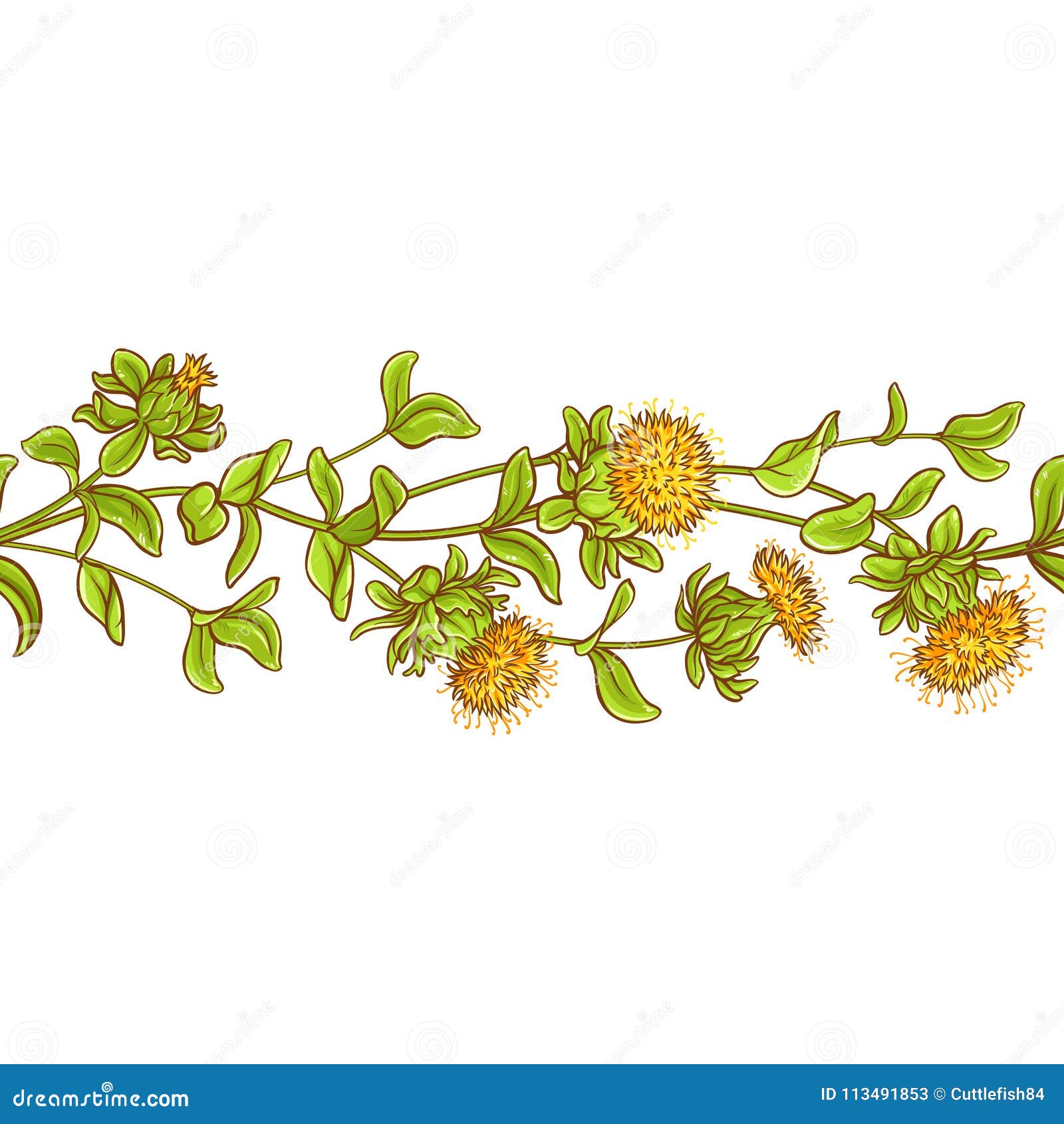 Modelo Del Vector De La Planta Del Alazor Ilustración del Vector ...