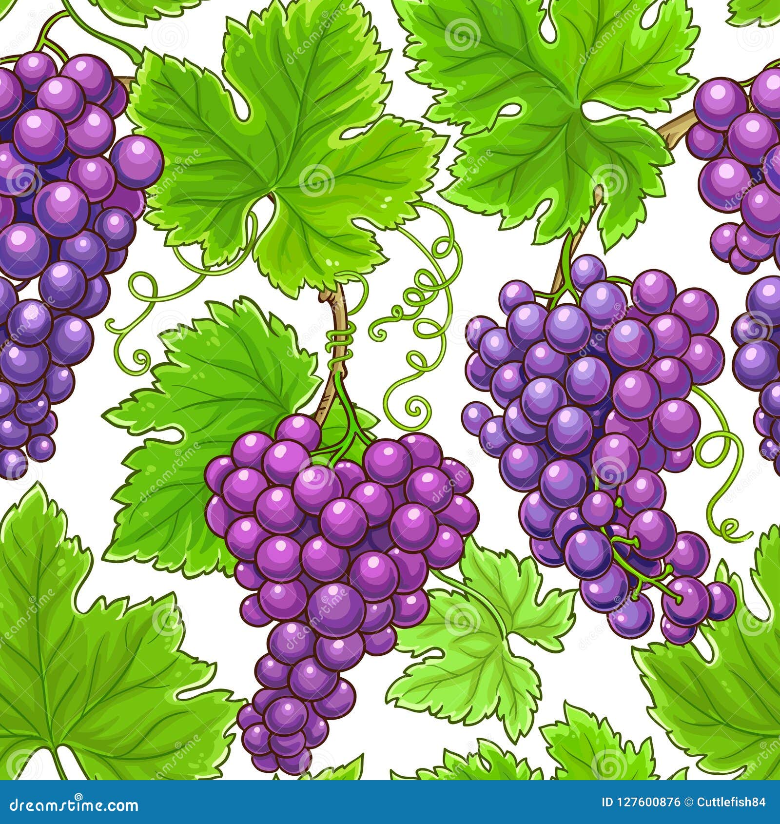 Modelo Del Vector De Las Uvas Ilustración del Vector - Ilustración de ...