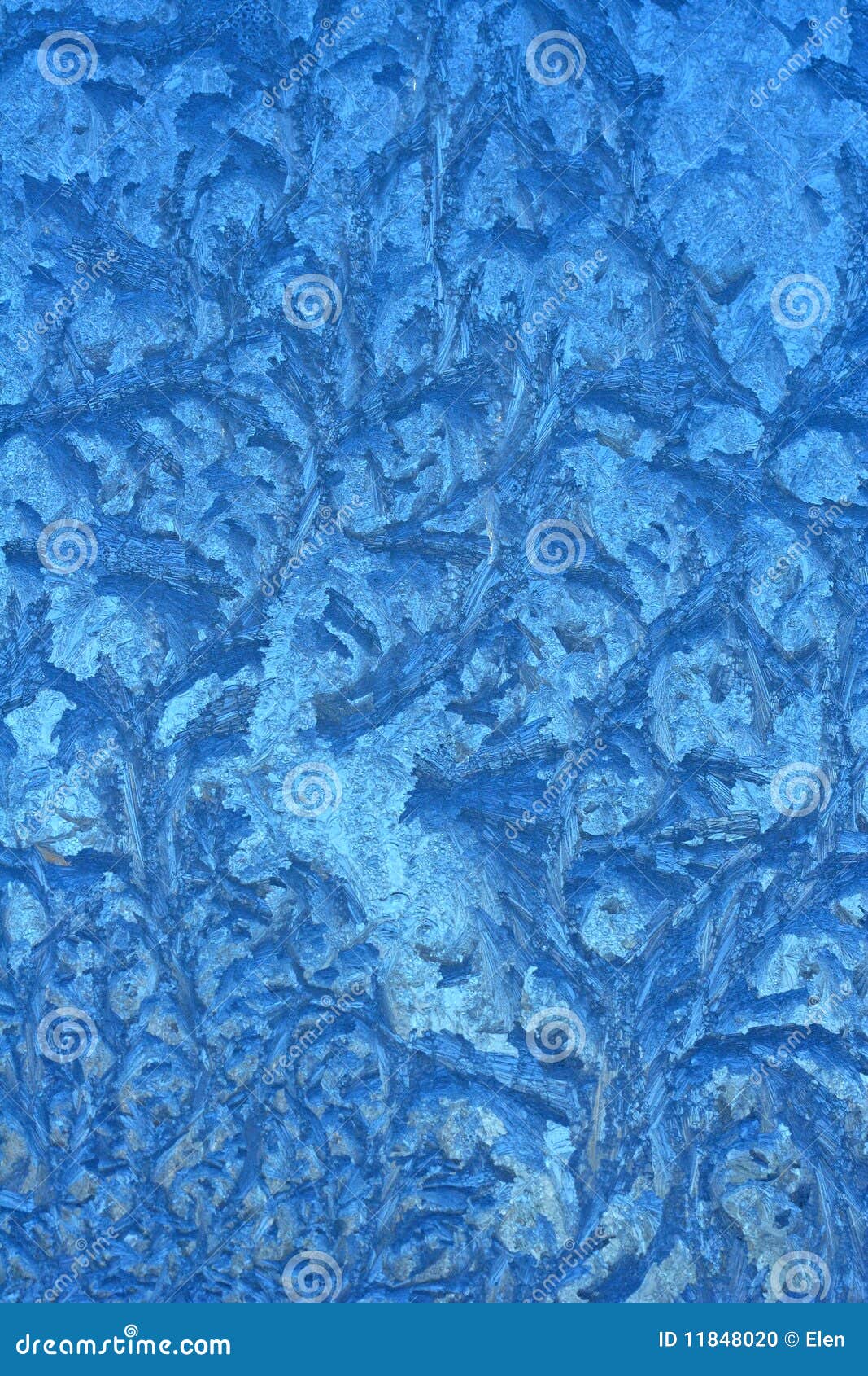 Modelo escarchado foto de archivo. Imagen de hielo, vacaciones - 11848020