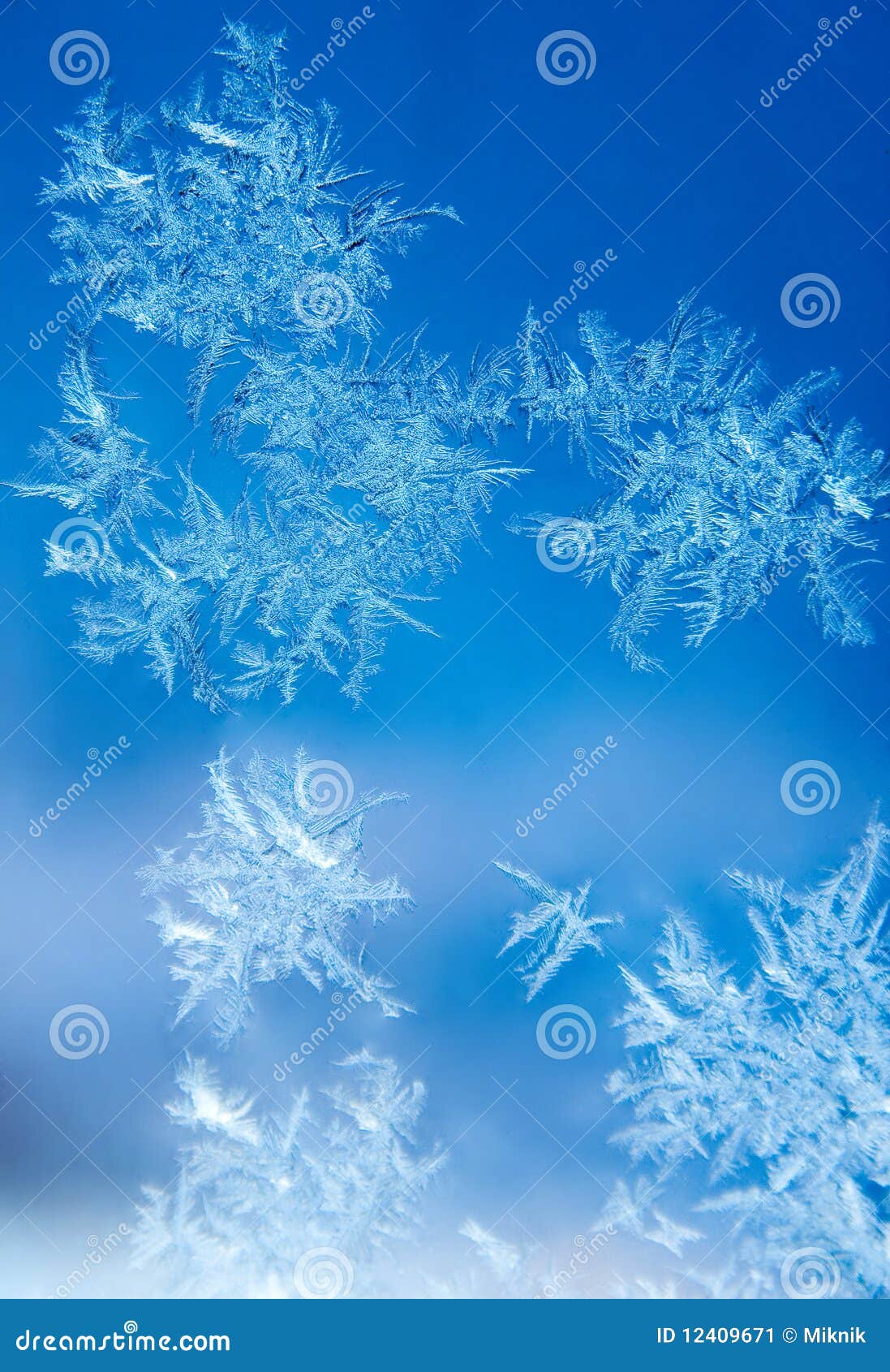 Modelo escarchado imagen de archivo. Imagen de cierre - 12409671