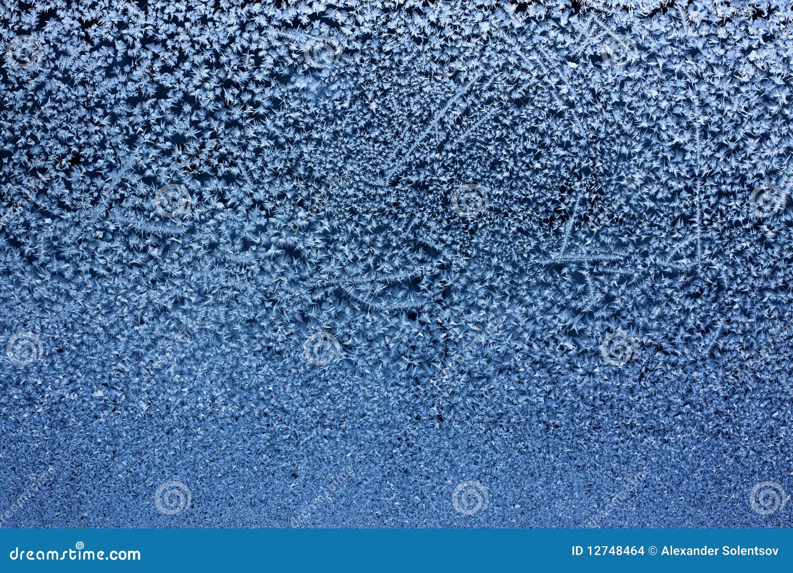 Modelo escarchado foto de archivo. Imagen de azul, brillante - 12748464