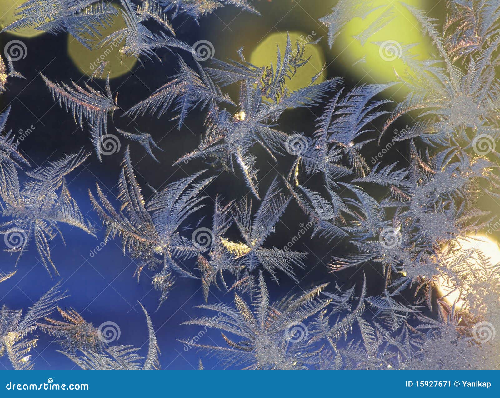 Modelo escarchado imagen de archivo. Imagen de hielo - 15927671