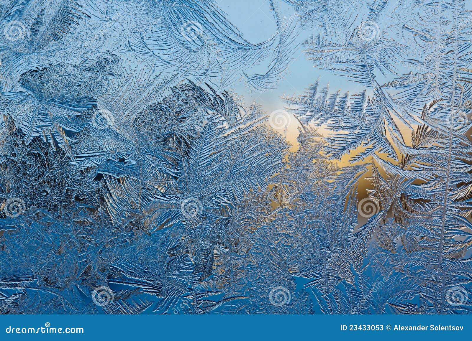 Modelo escarchado imagen de archivo. Imagen de helada - 23433053