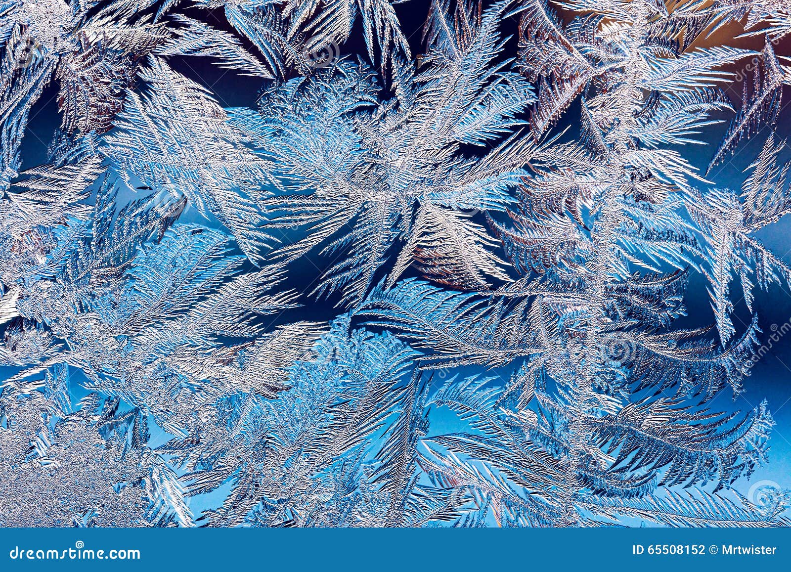 Modelo Escarchado En El Primer De La Ventana Foto de archivo - Imagen ...