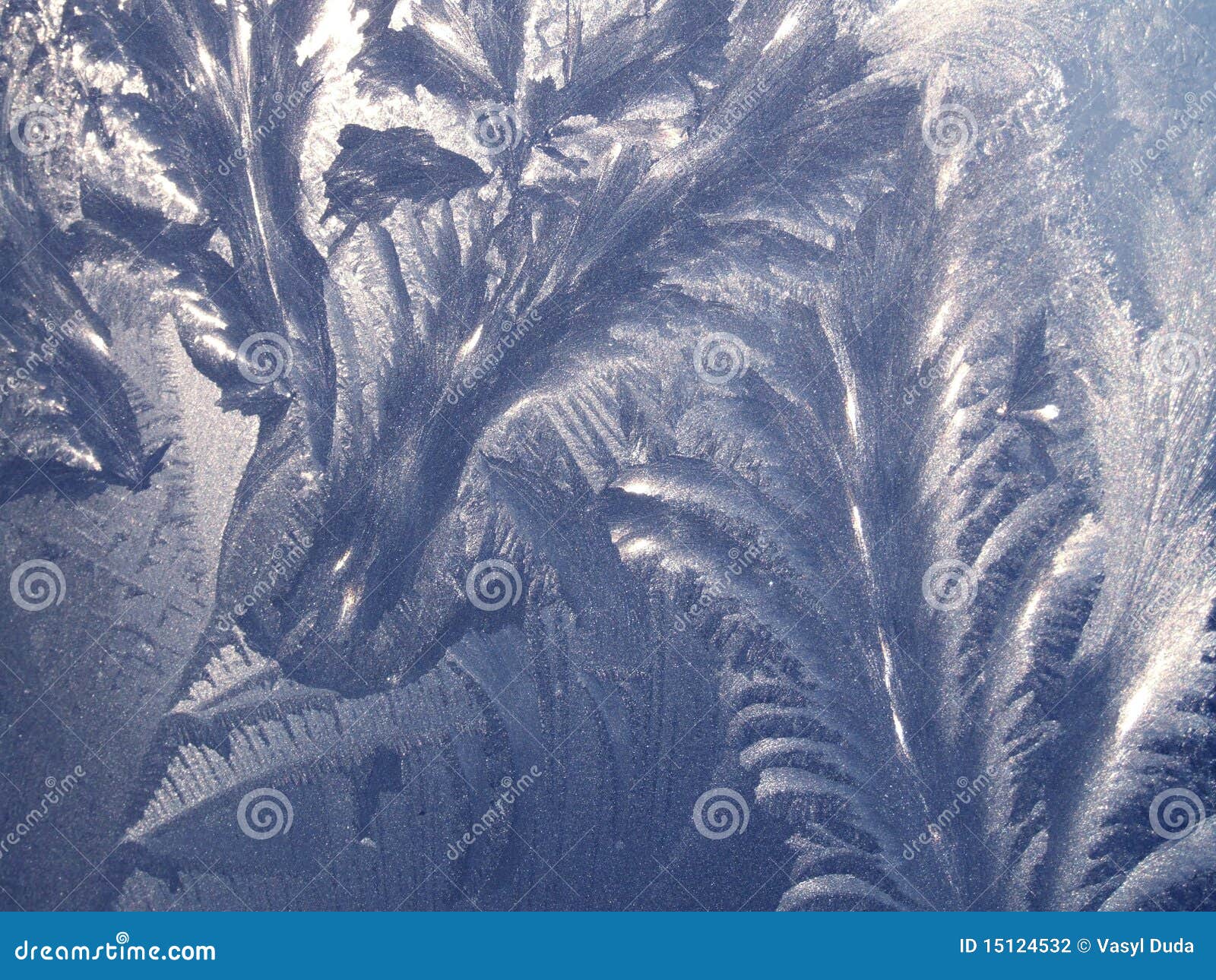 Modelo Escarchado En La Ventana Foto de archivo - Imagen de marco ...