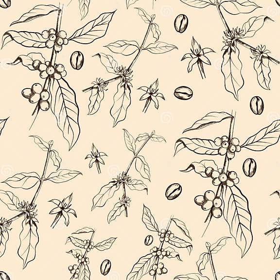 Modelo Inconsútil Del Cafeto Ilustración del Vector - Ilustración de ...