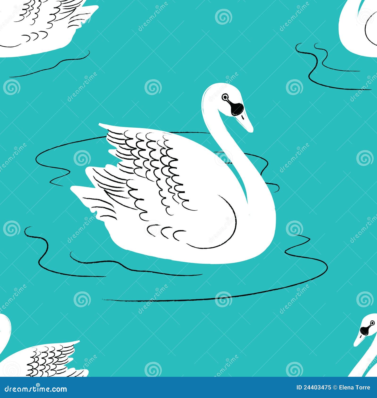 Cygnet Ilustraciones Stock, Vectores, Y Clipart – (147 Ilustraciones Stock)