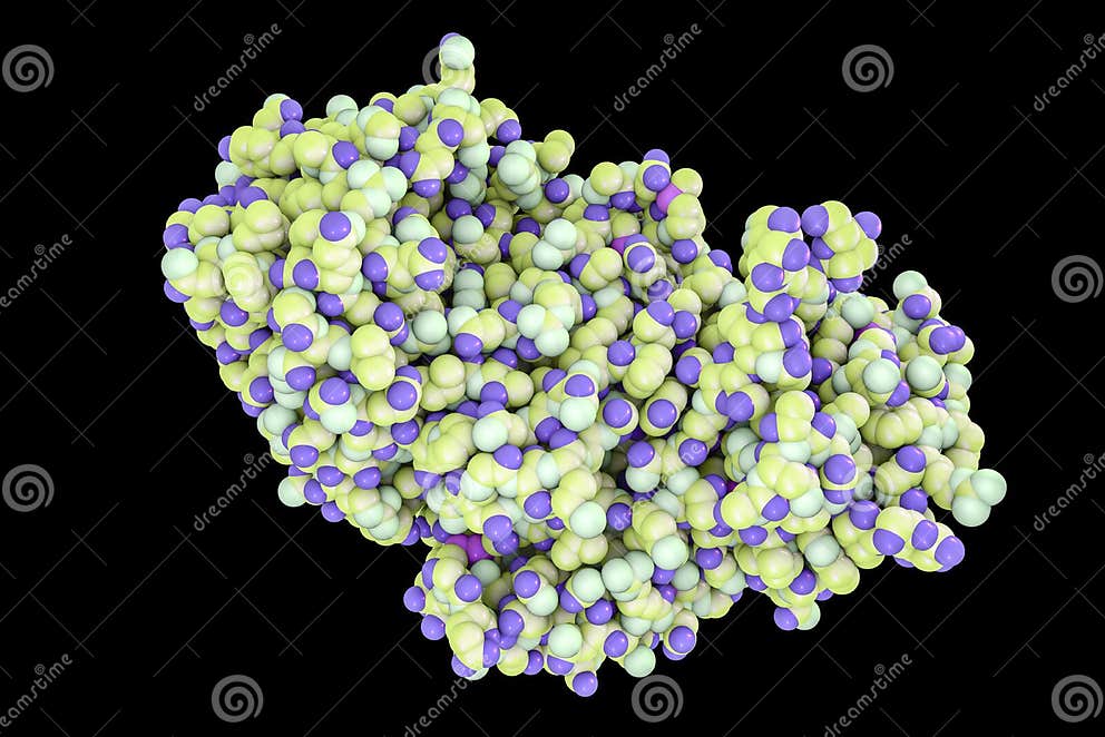 Modelo Molecular De La Ricina Stock de ilustración - Ilustración de ...