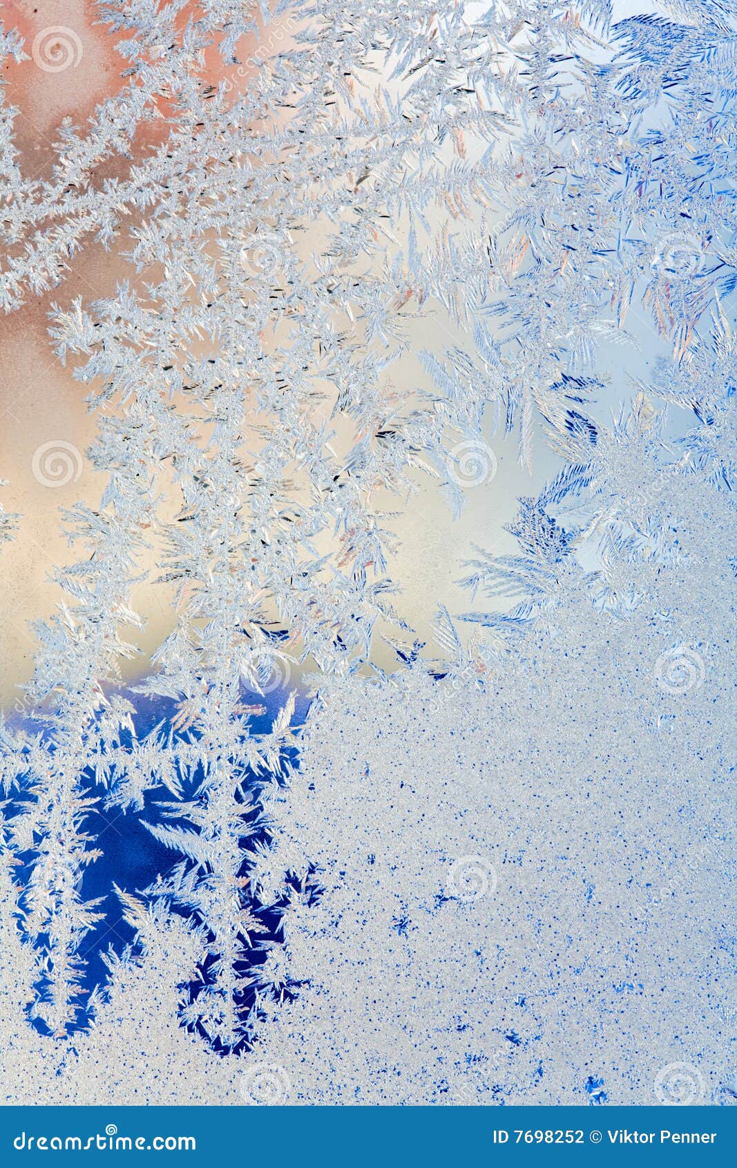 Modelo natural escarchado foto de archivo. Imagen de escarchado - 7698252