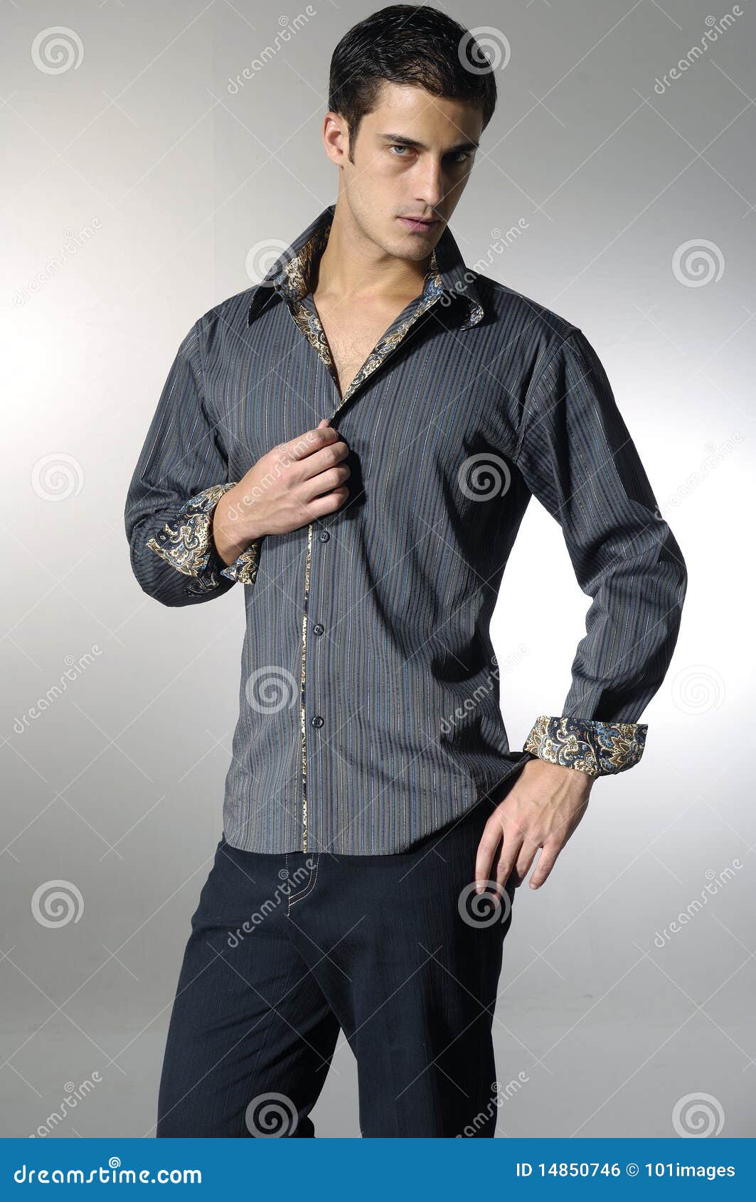 Modelo profesional foto de archivo. Imagen de modelo - 14850746