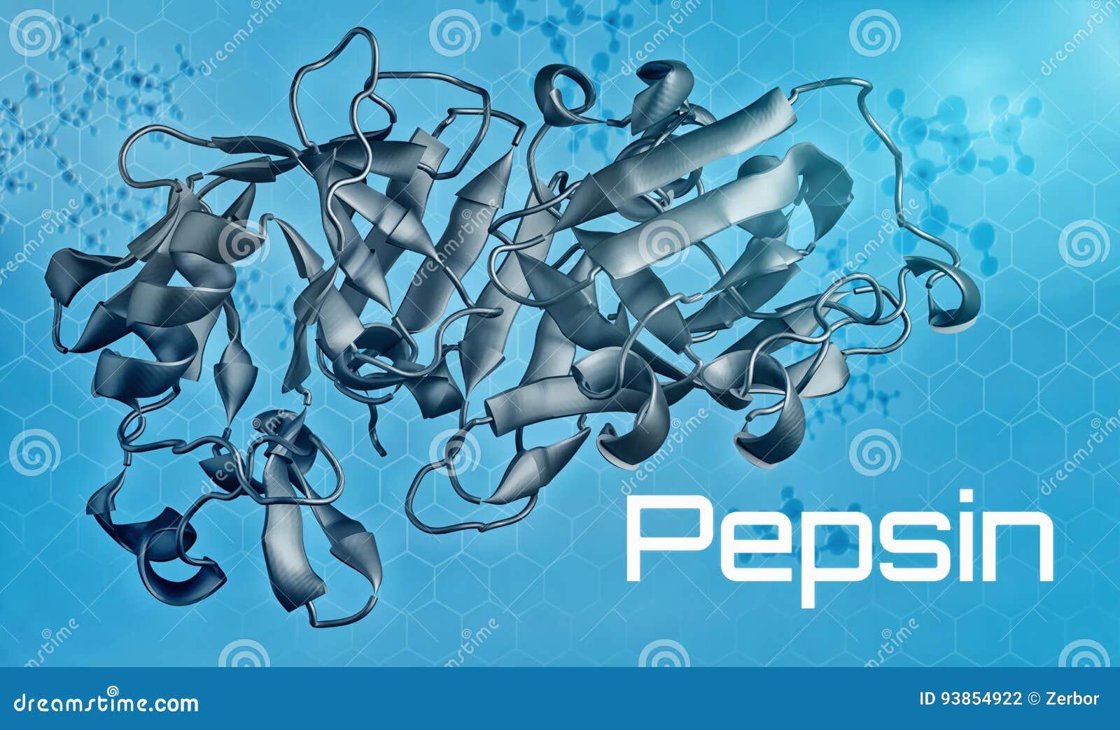 Modelo Tridimensional De La Pepsina Stock de ilustración - Ilustración ...