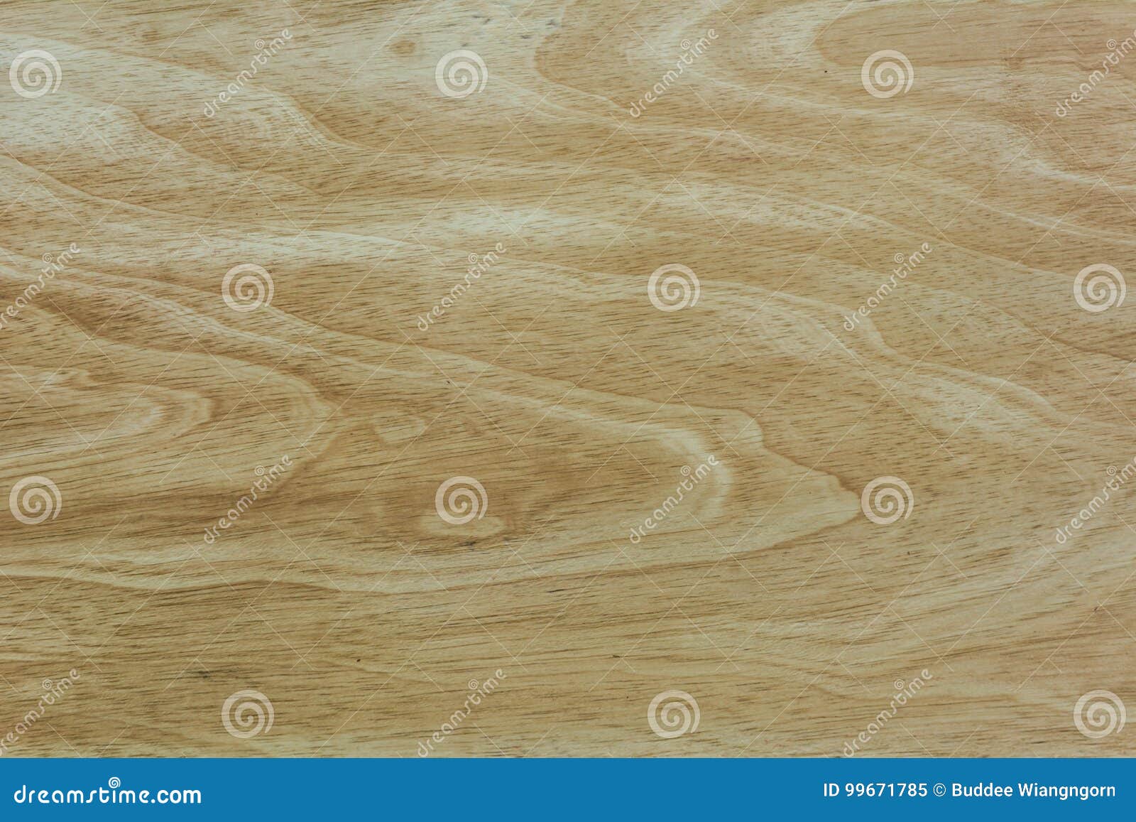 Modelos, Colores Y Modelos De Madera Naturales De La Tabla Imagen de ...