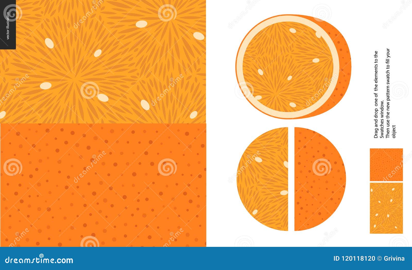 Modelos De La Comida, Fruta, Anaranjada Ilustración del Vector ...