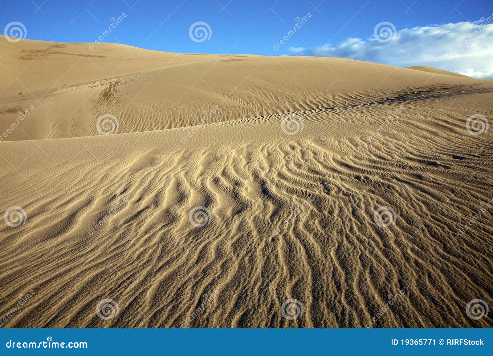 Modelos De Las Dunas De Arena Imagen de archivo - Imagen de estados ...
