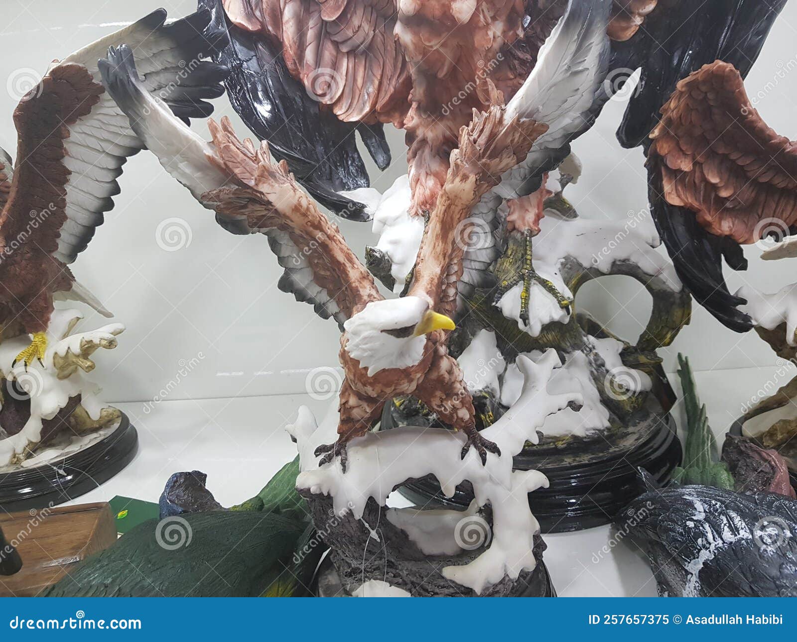 Models of Eagle Birds Photo Stock Image - Image of eagl, birds: 257657375