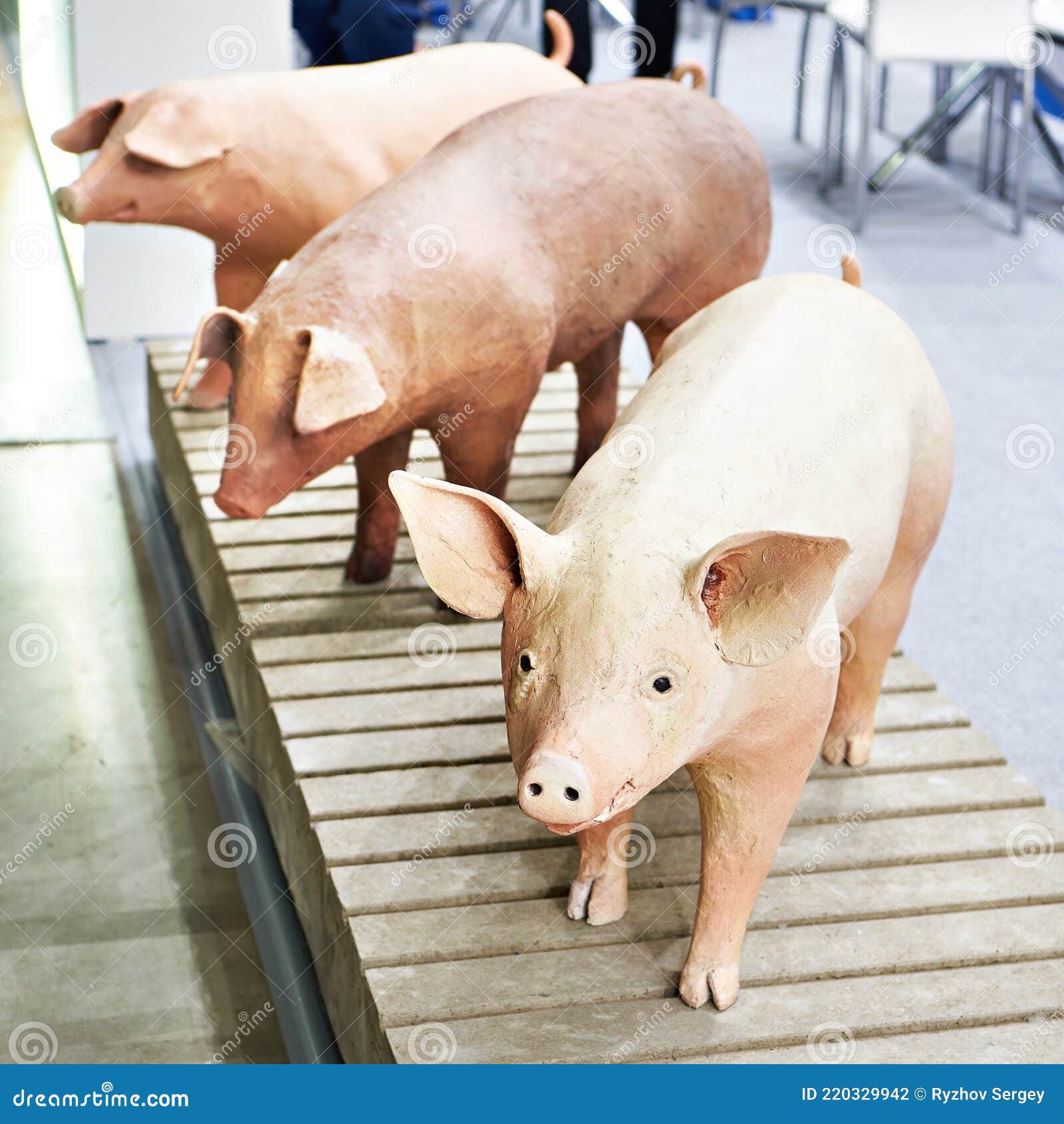 Models of Pigs at Exhibition Editorial Photography - Image of pink ...