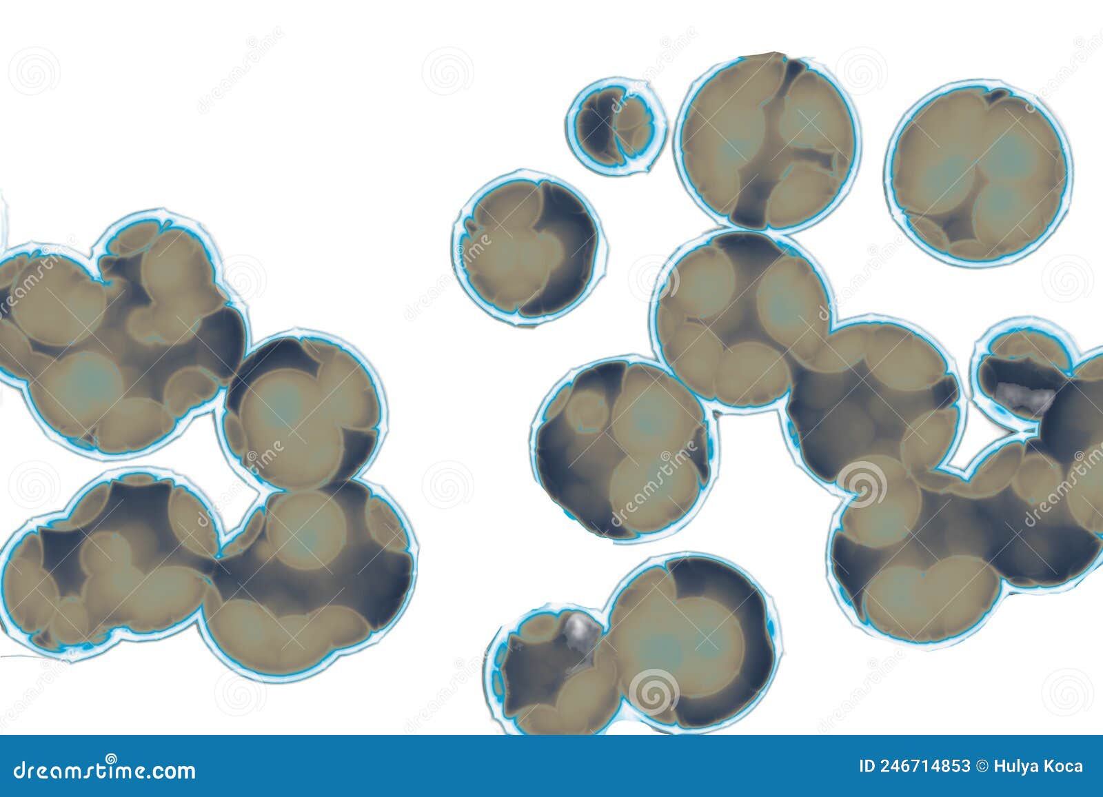 Modern Abstract Trendy Design for Print, Package, Decor Stock ...