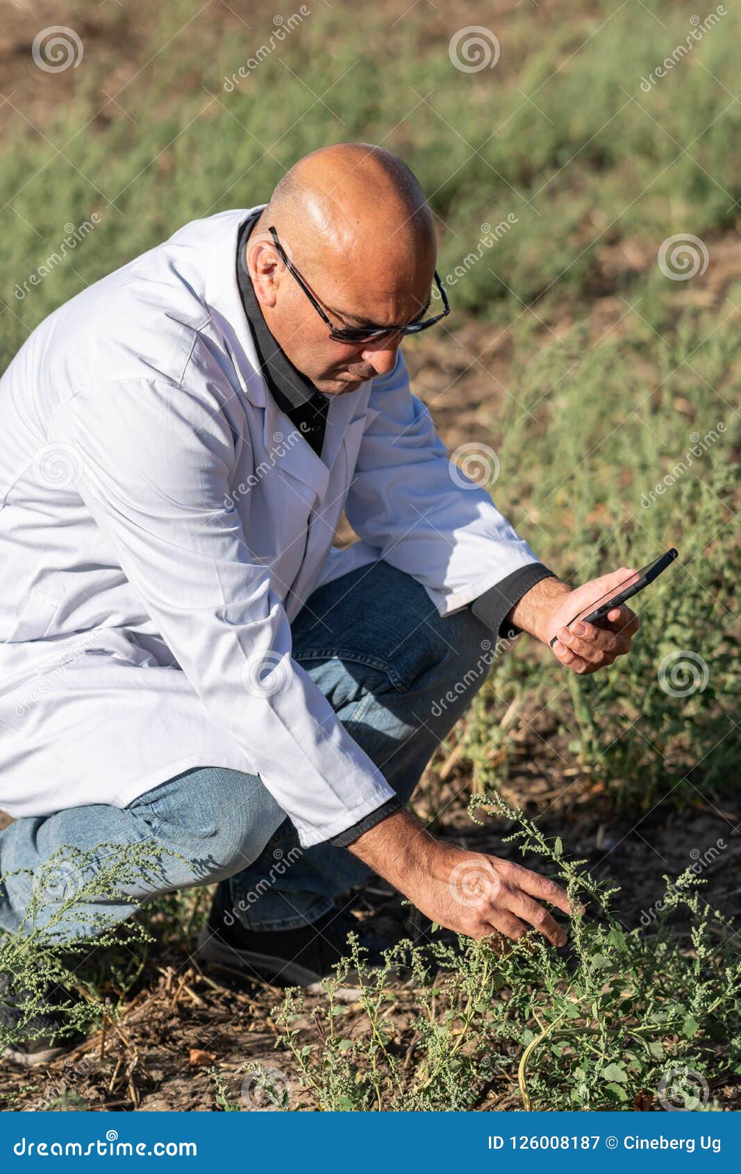 Agronomist at work editorial photography. Image of male - 126008187